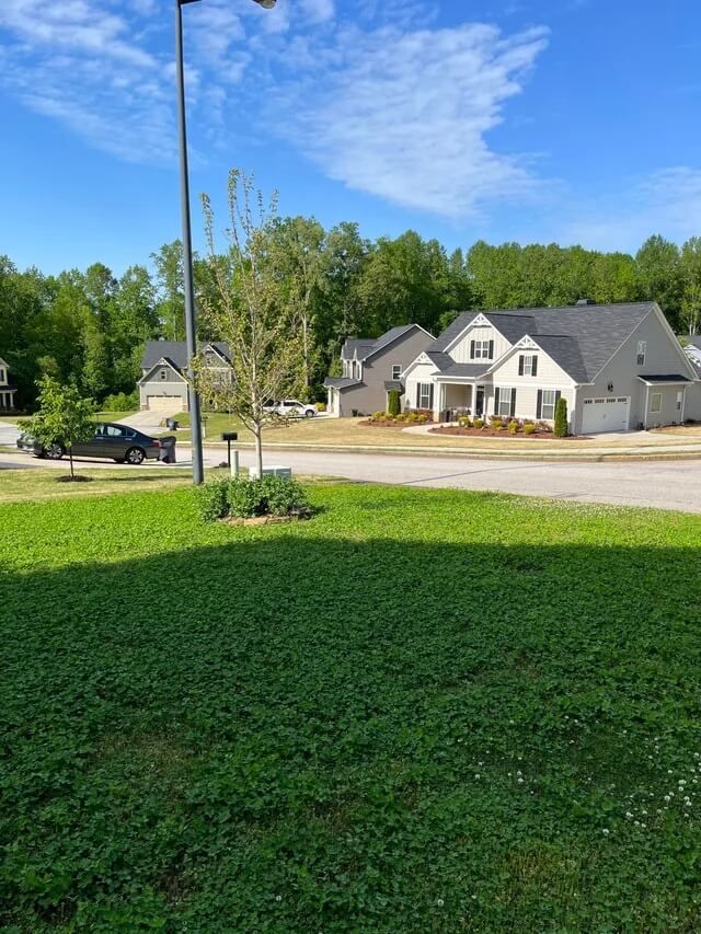 Homeowner shares striking comparison photos of their unconventional ...