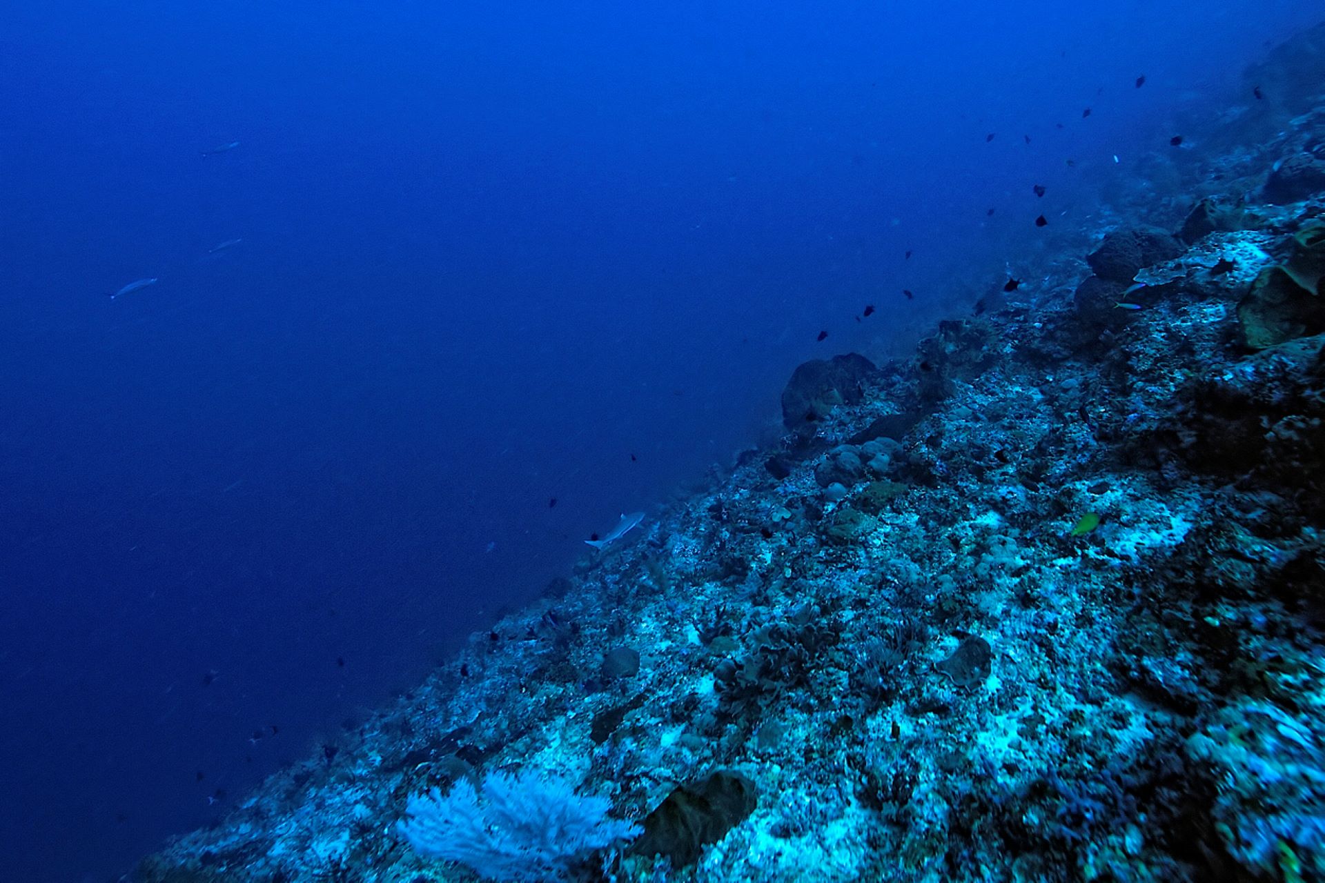 Scientists make disturbing discovery after researching life deep below ...