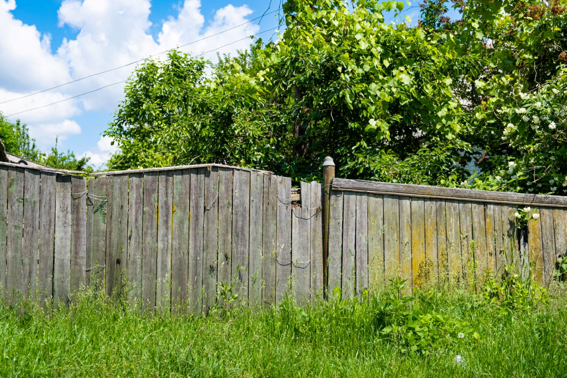 Homeowner at their wit's end with neighbor's invasive problem: 'Only ...