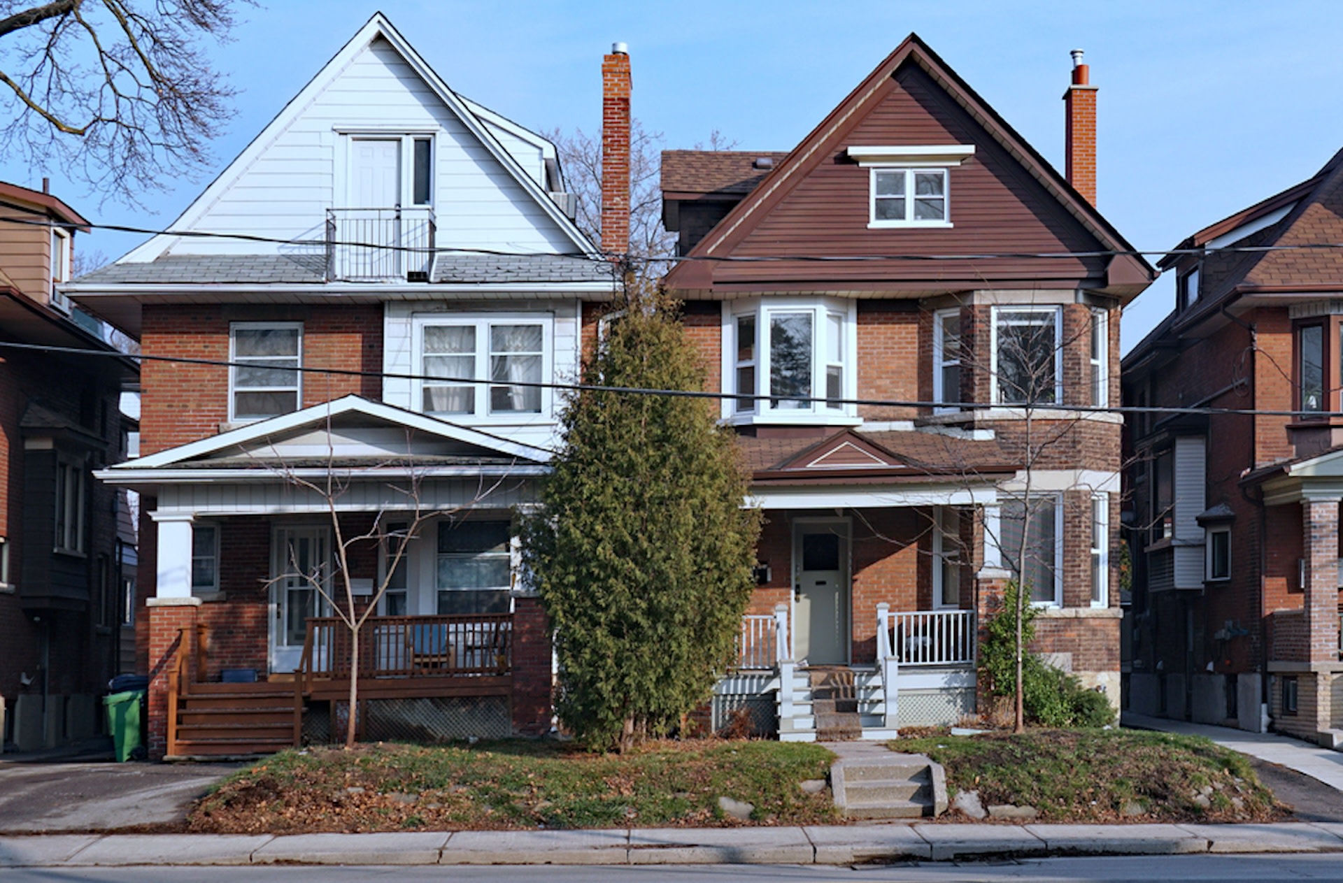 Gardener shares progress photos of their thriving urban yard: 'Maybe ...