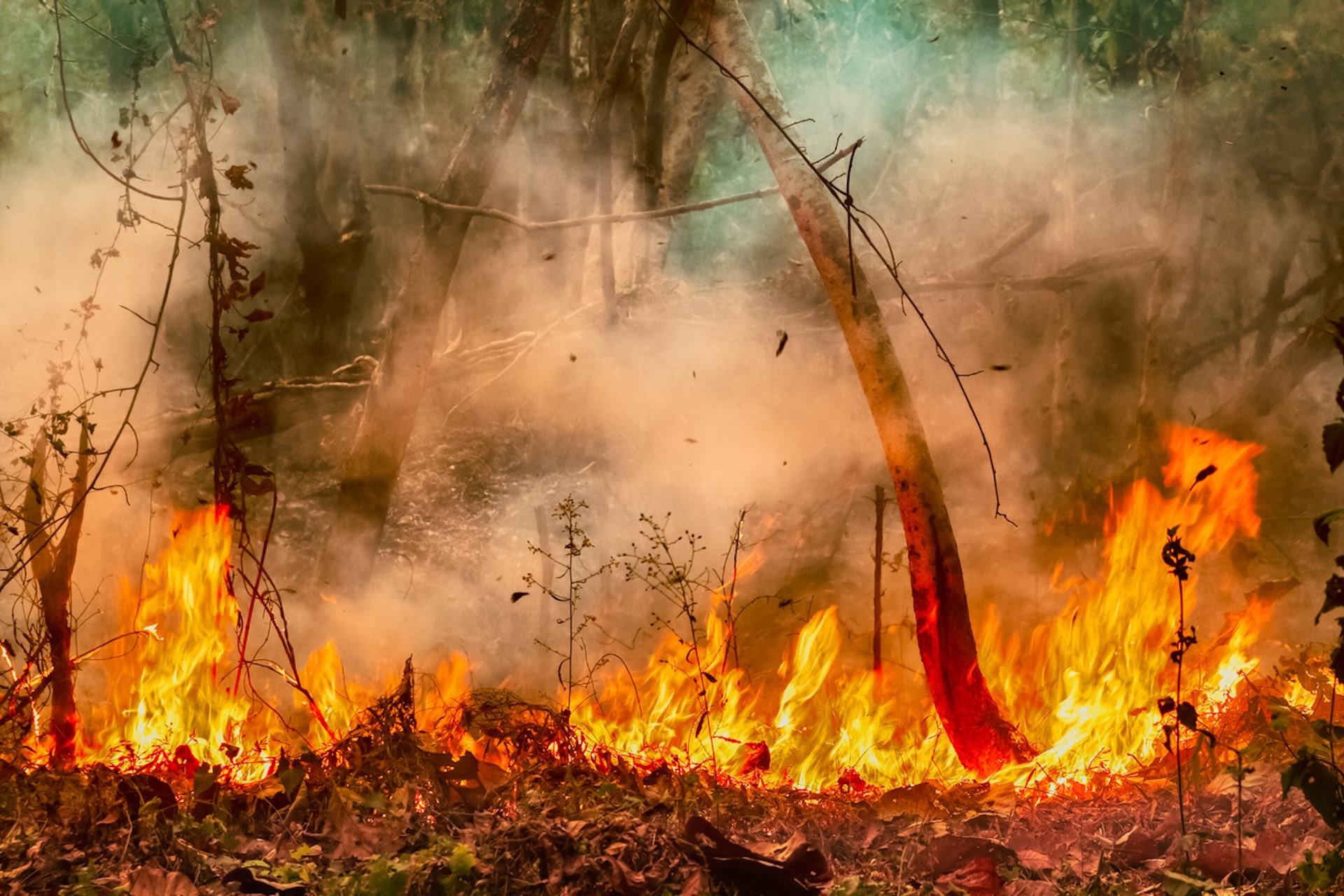 Dangerous conditions in the Amazon spark raging fires: 'It’s creating ...