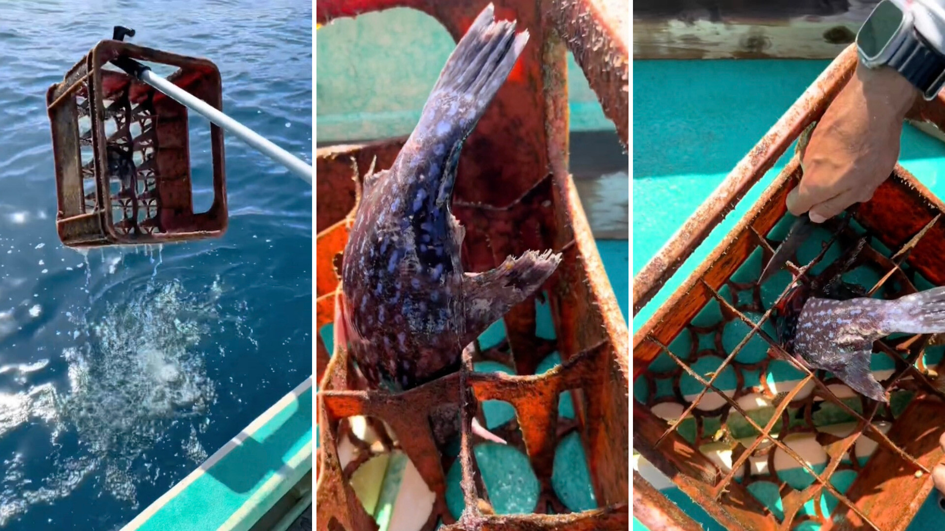 Boater jumps to action after witnessing disturbing scene caused by ...