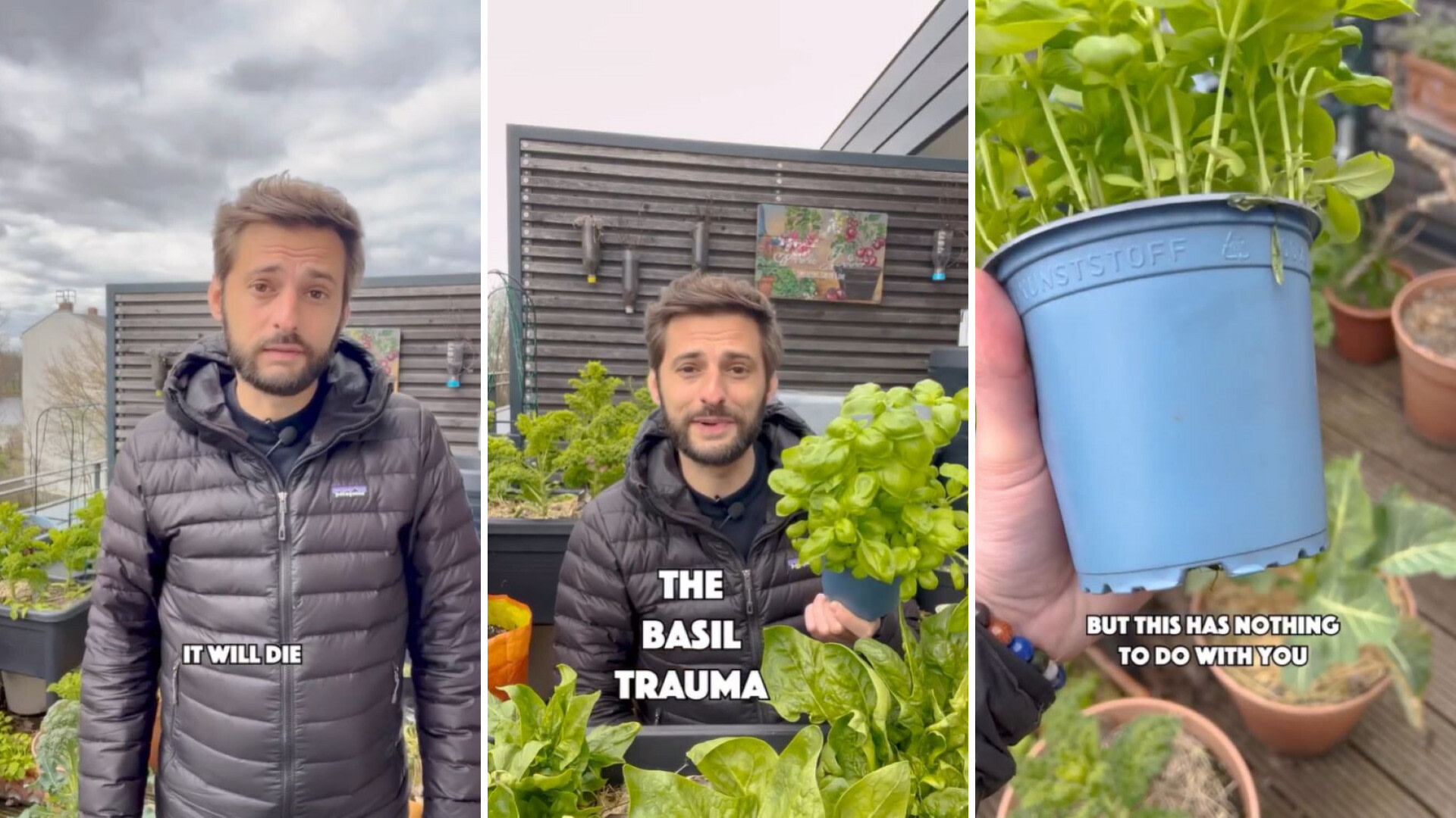 Garden expert shares helpful hack to save your difficult-to-grow plants ...