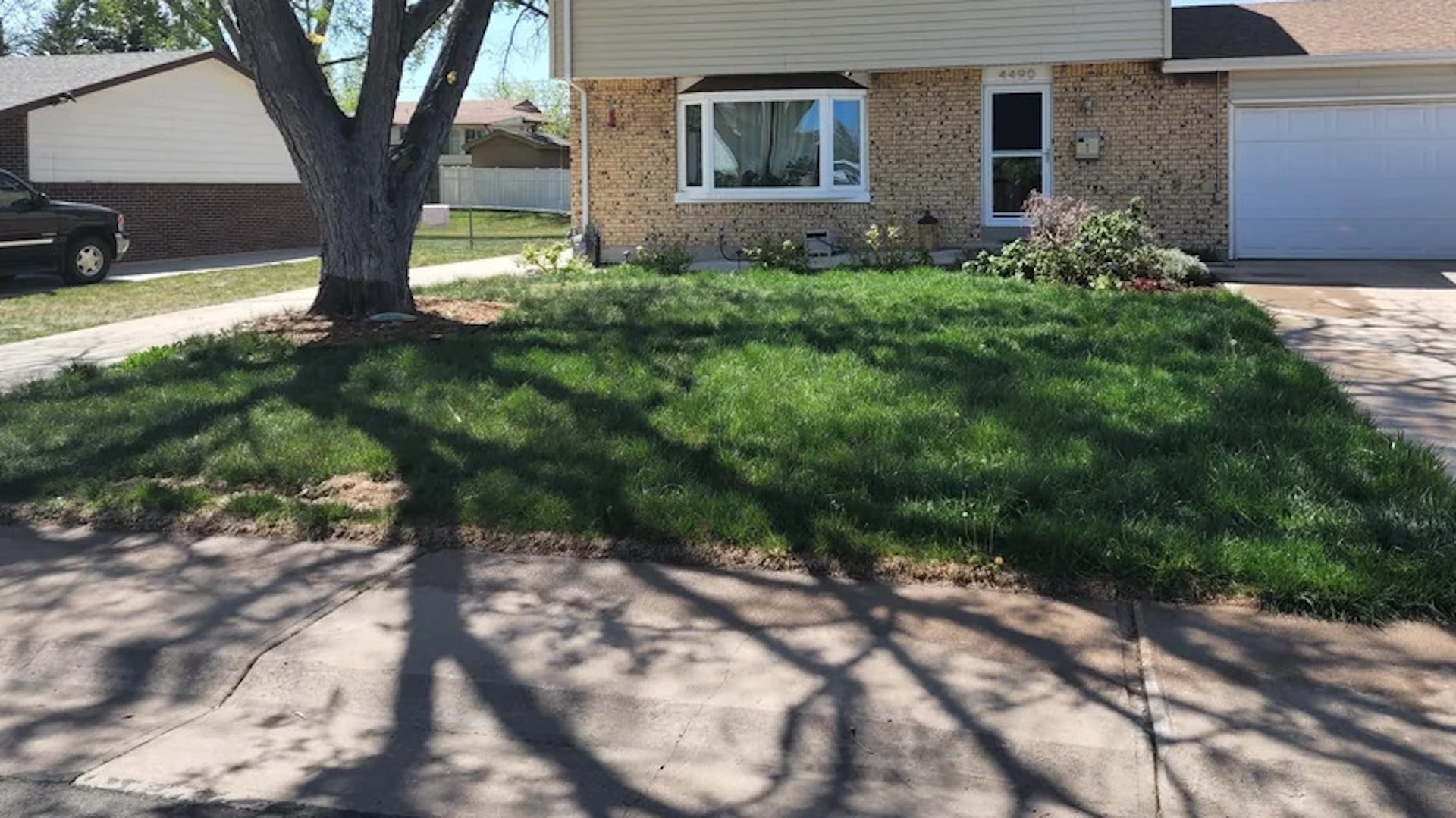 Homeowner Shares Striking Before And After Photos After Redoing Front Yard Goodbye Grass