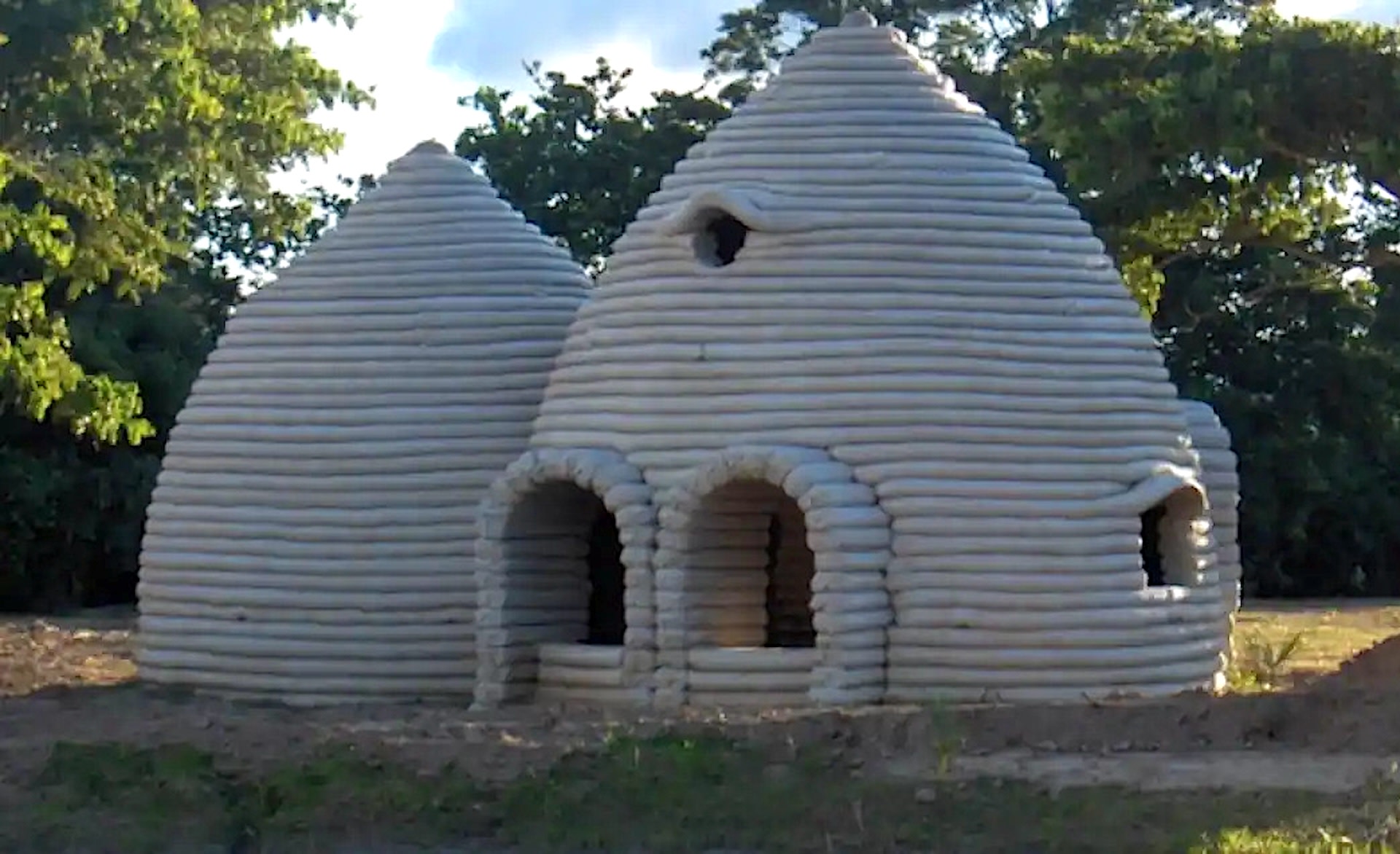 Woman's eccentric hive-like home design wins $100,000 prize to build ...