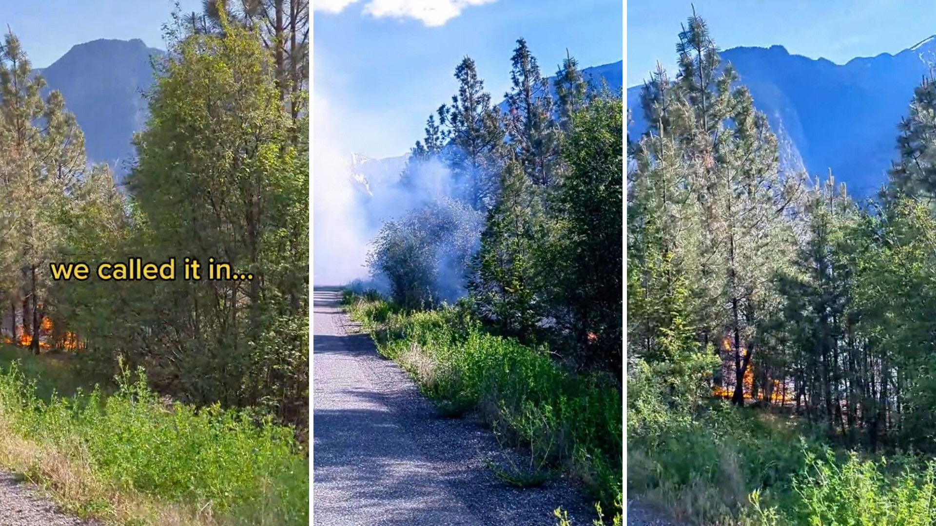 Woman captures terrifying moment driver starts forest fire with lit ...