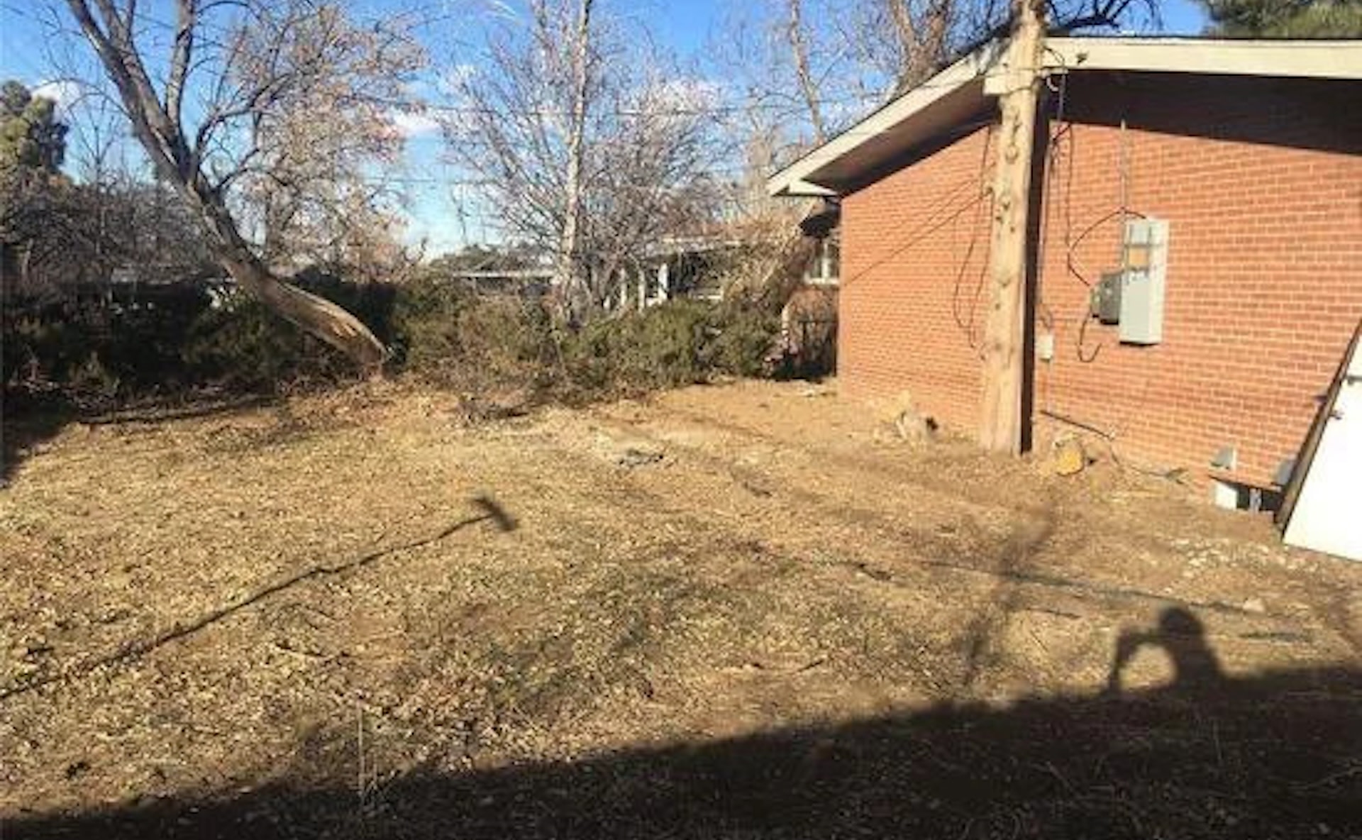 Homeowner shares striking before-and-after photos of their backyard ...