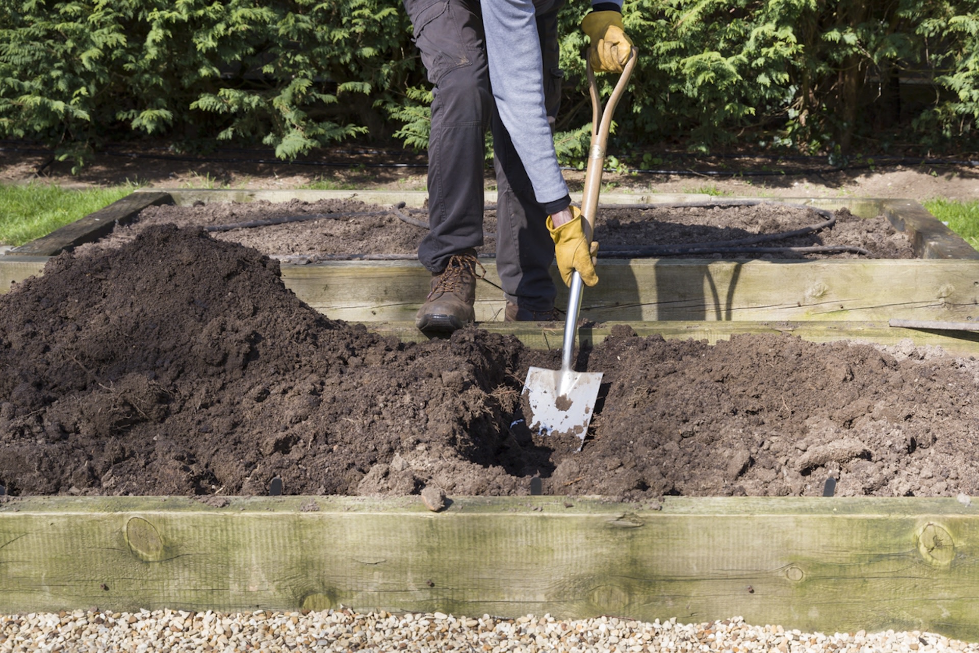 Gardener shares genius no-dig method for creating new garden beds: 'I ...