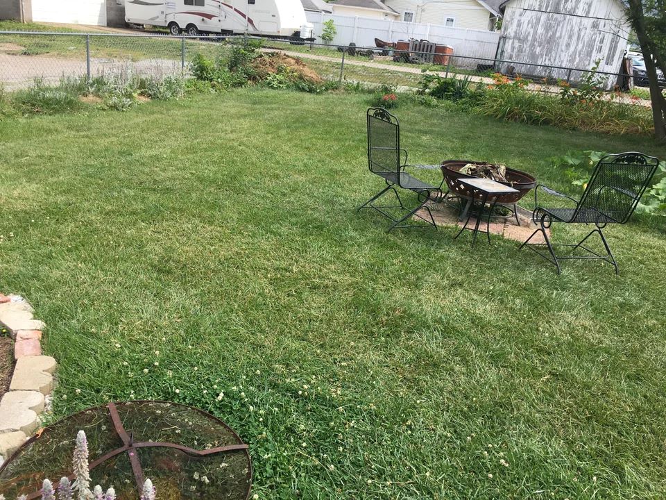 Homeowner shares progress photos after transforming their backyard into ...
