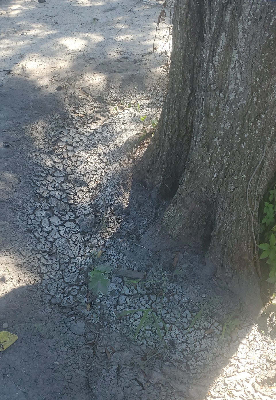 Homeowner shares photo after renovation project jeopardizes health of ...
