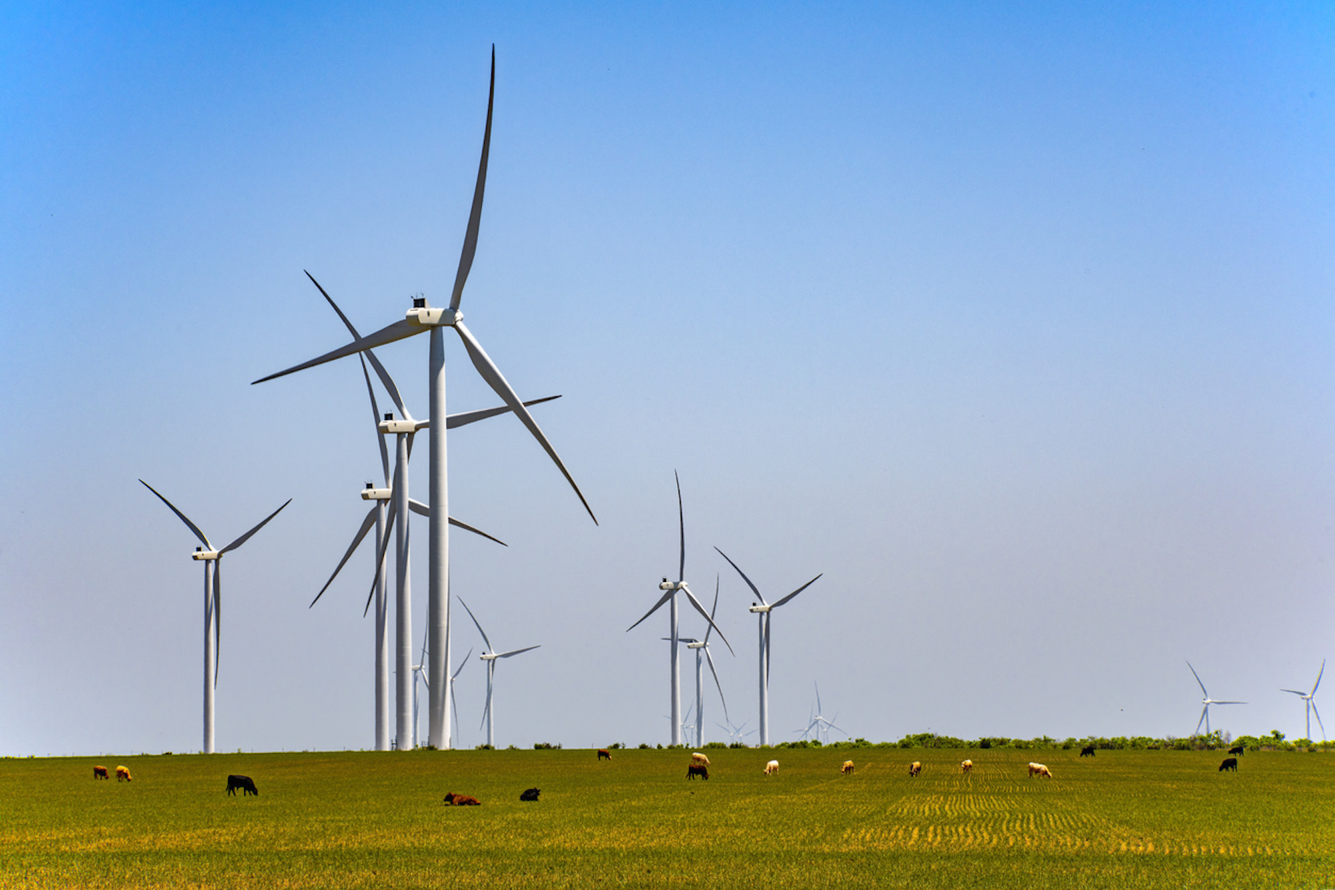 A ranch owner reveals how wind turbines saved his farm: 'I always say ...