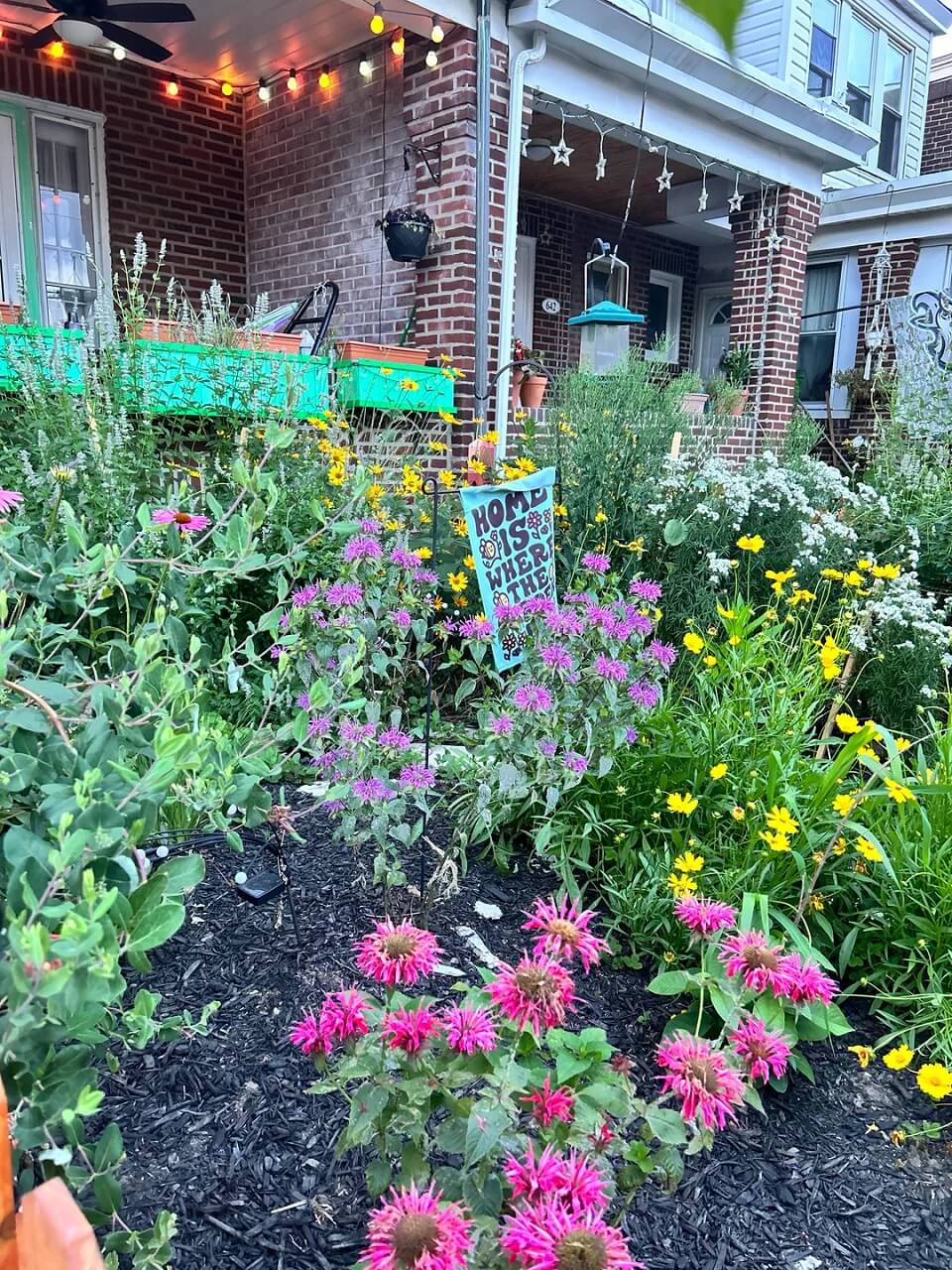 Gardener shares progress photos of their thriving urban yard: 'Maybe ...