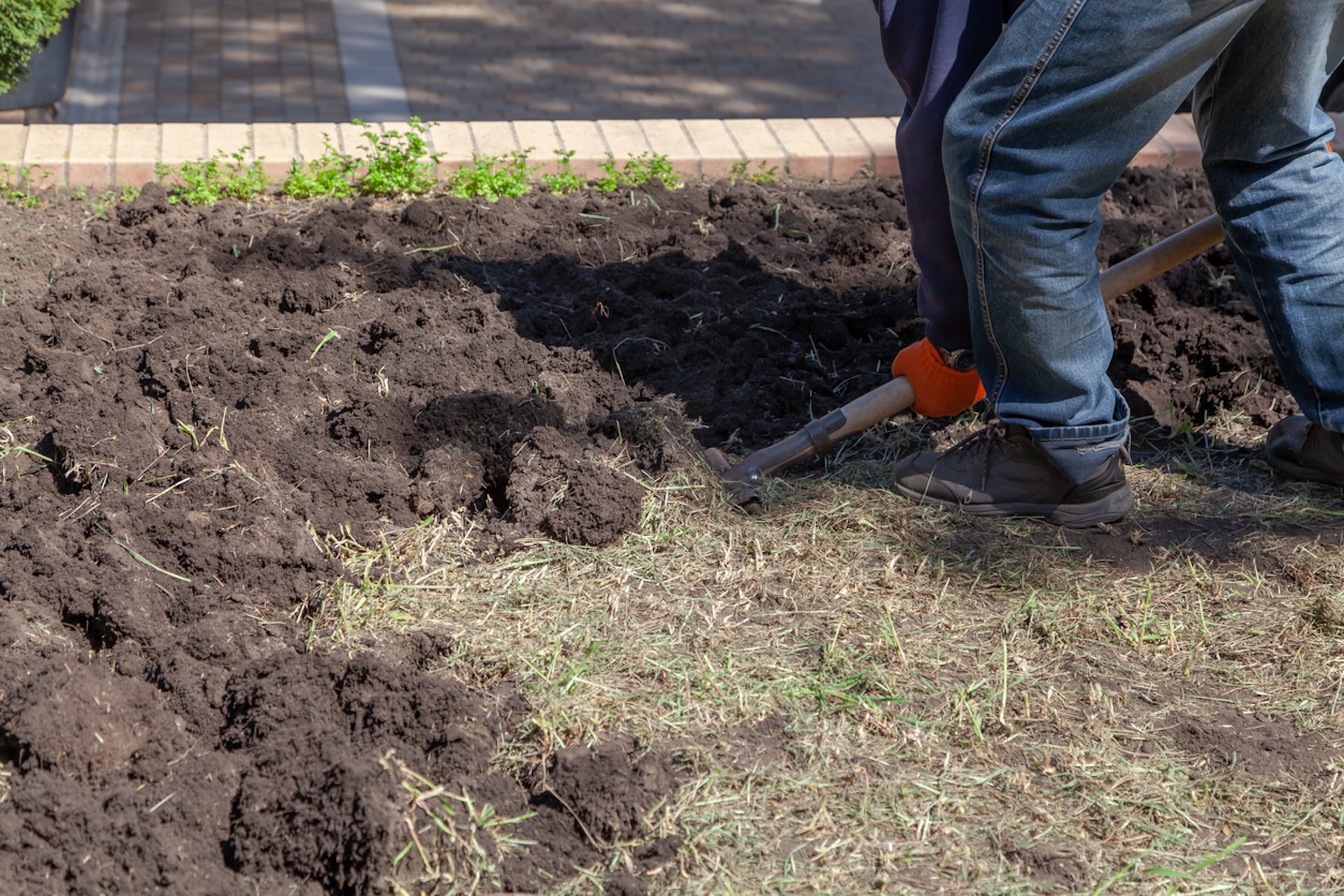 Homeowner receives warnings against dangerous yard maintenance method ...