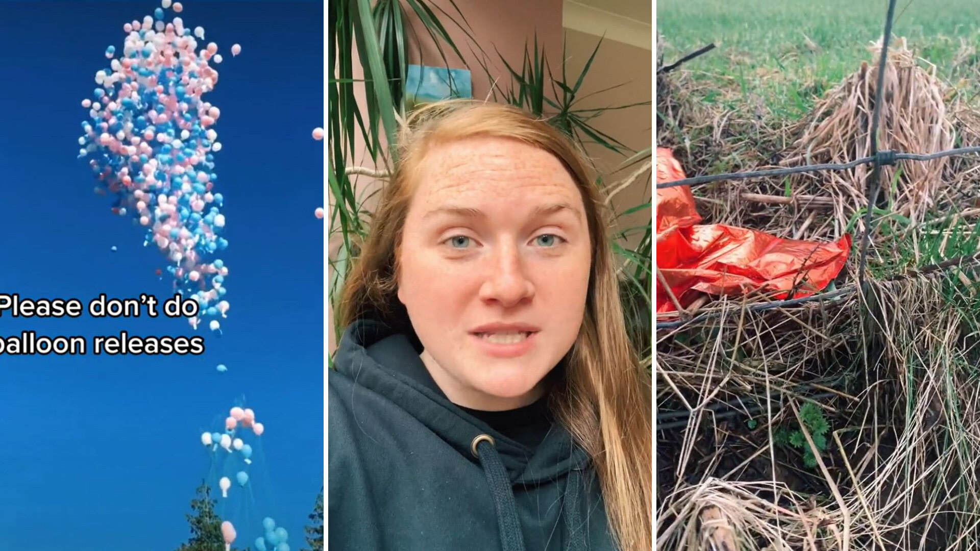 Expert explains the problematic truth behind balloon releases: 'There ...