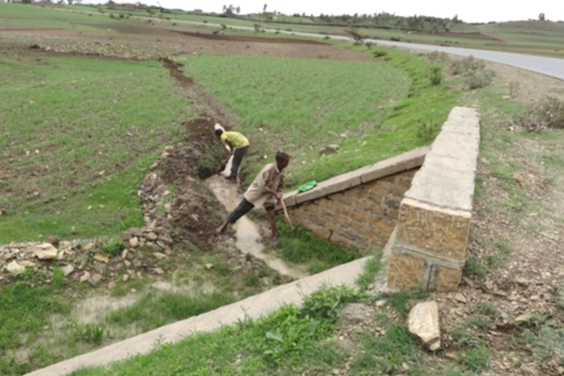 Engineers are turning roads into 'green' infrastructure with game ...