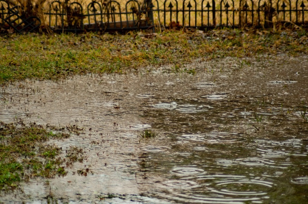 Gardener shares photos of incredible method used to manage intense rain ...