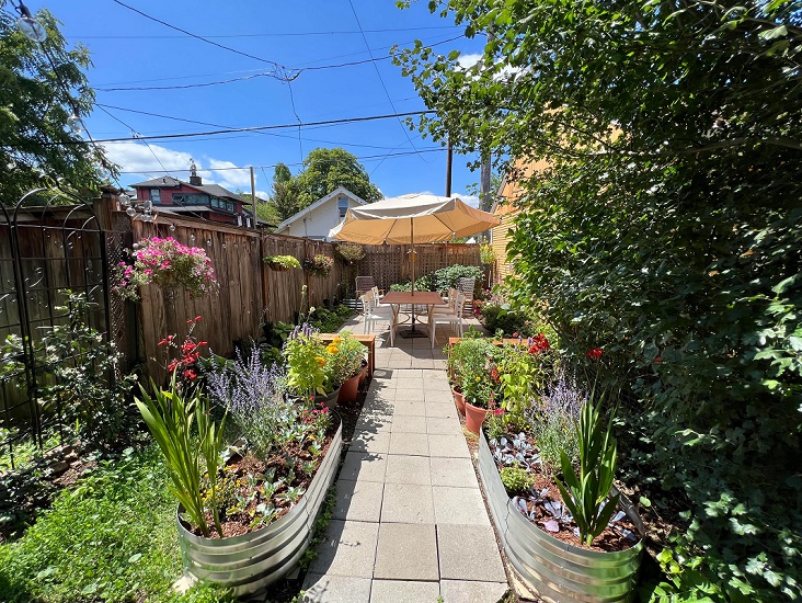 Homeowner shares stunning before-and-after photos of their new backyard ...