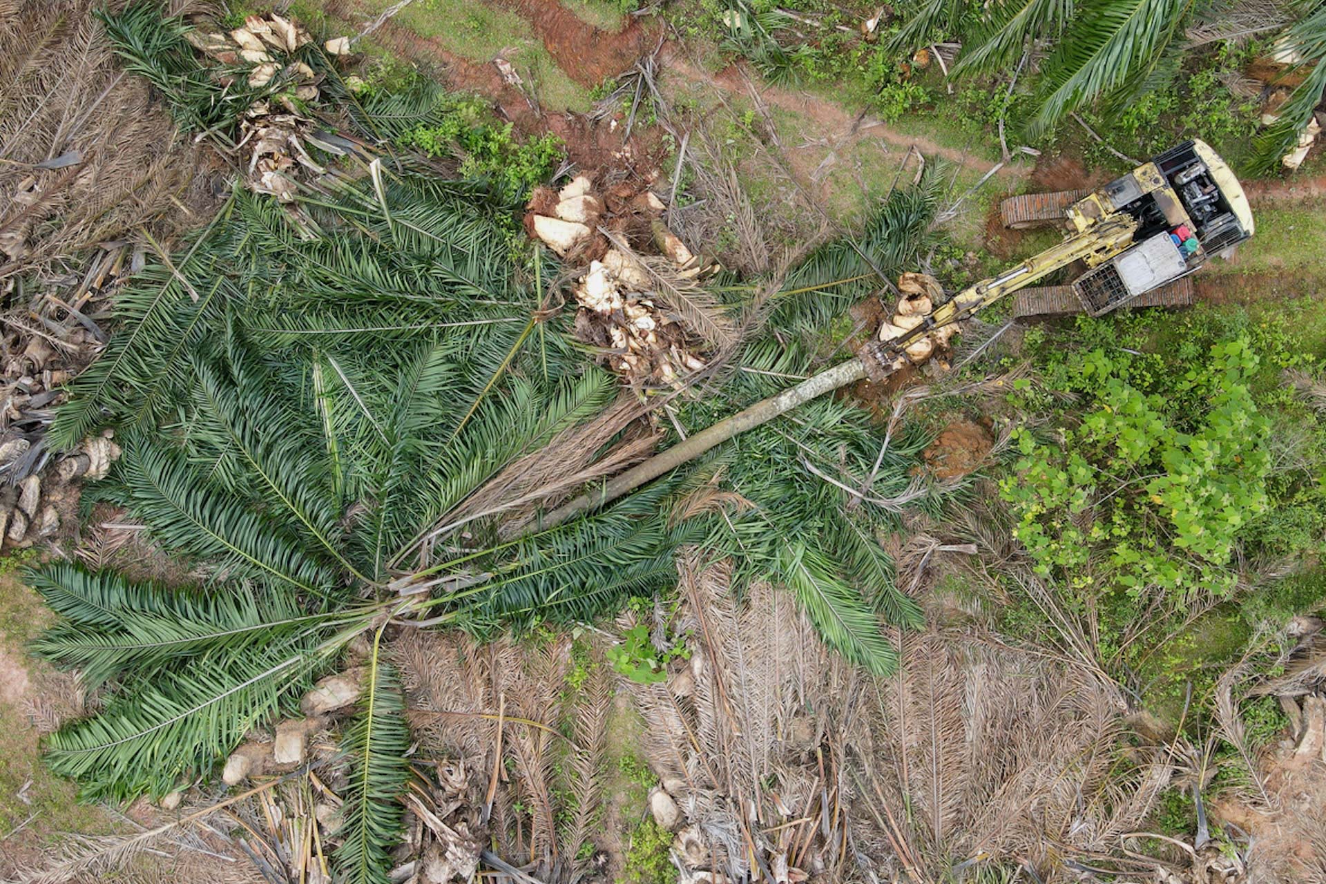 New tool offers potential breakthrough to hold companies accountable ...