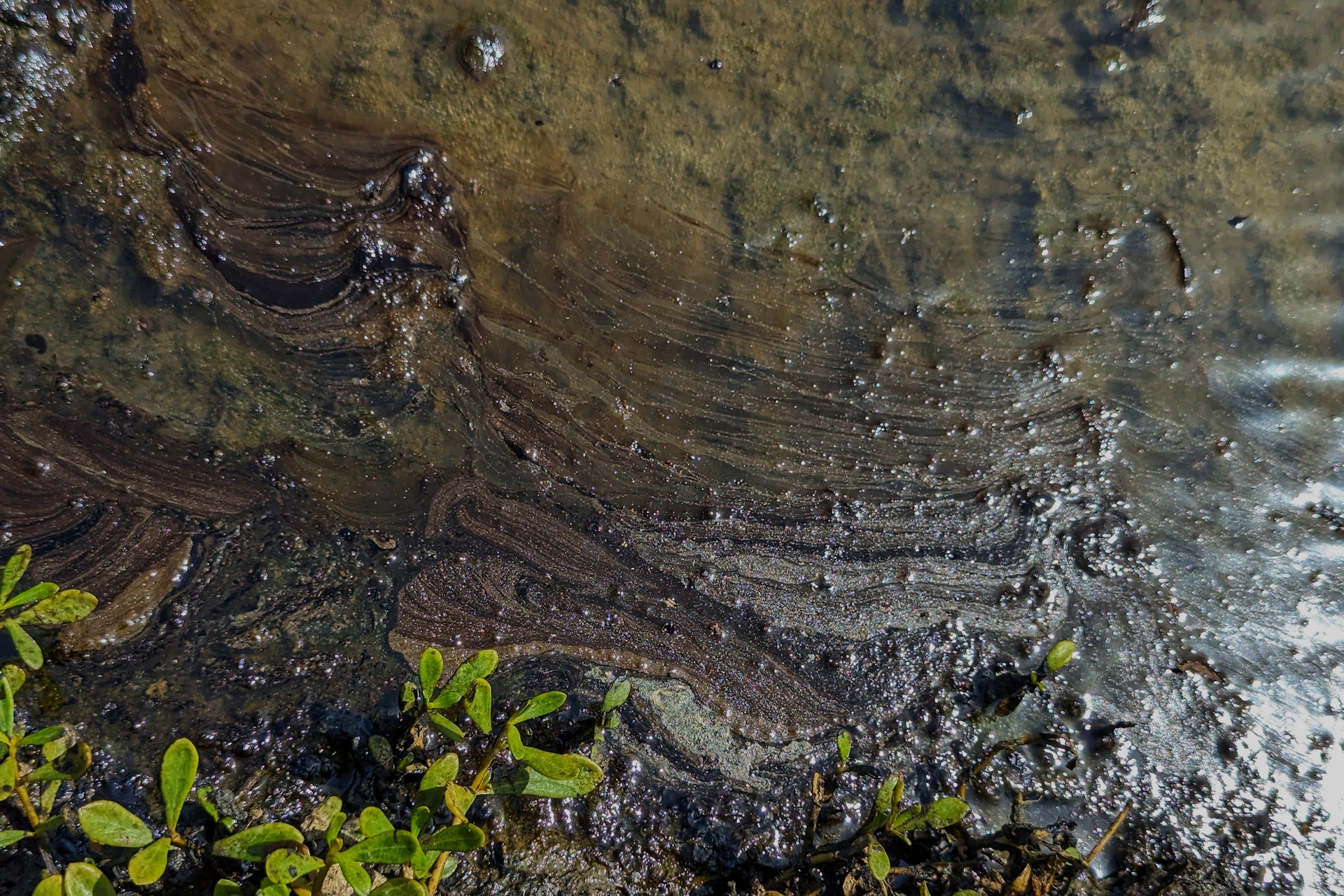 Capsized barge finally stops month-long oil spill off coast of ...
