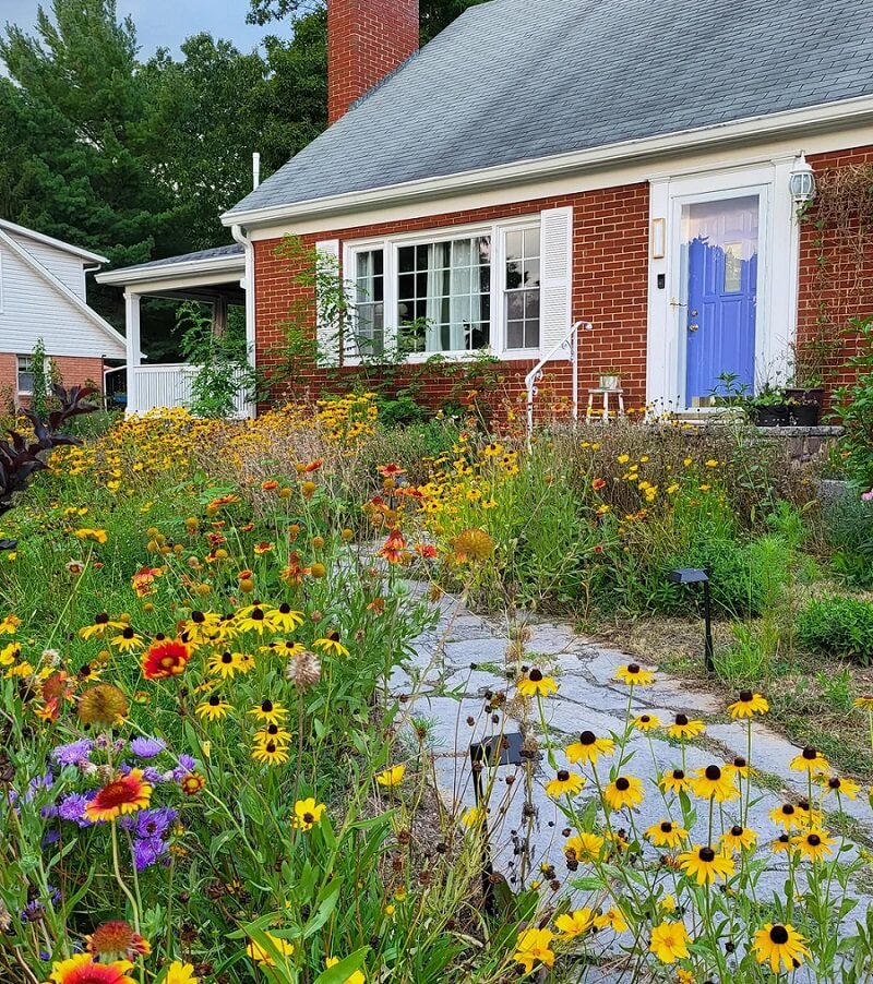 Proud homeowner shares incredible progress photos after ripping out ...