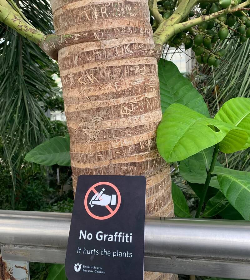 Visitor shares saddening photo of defaced botanical garden site: 'I ...
