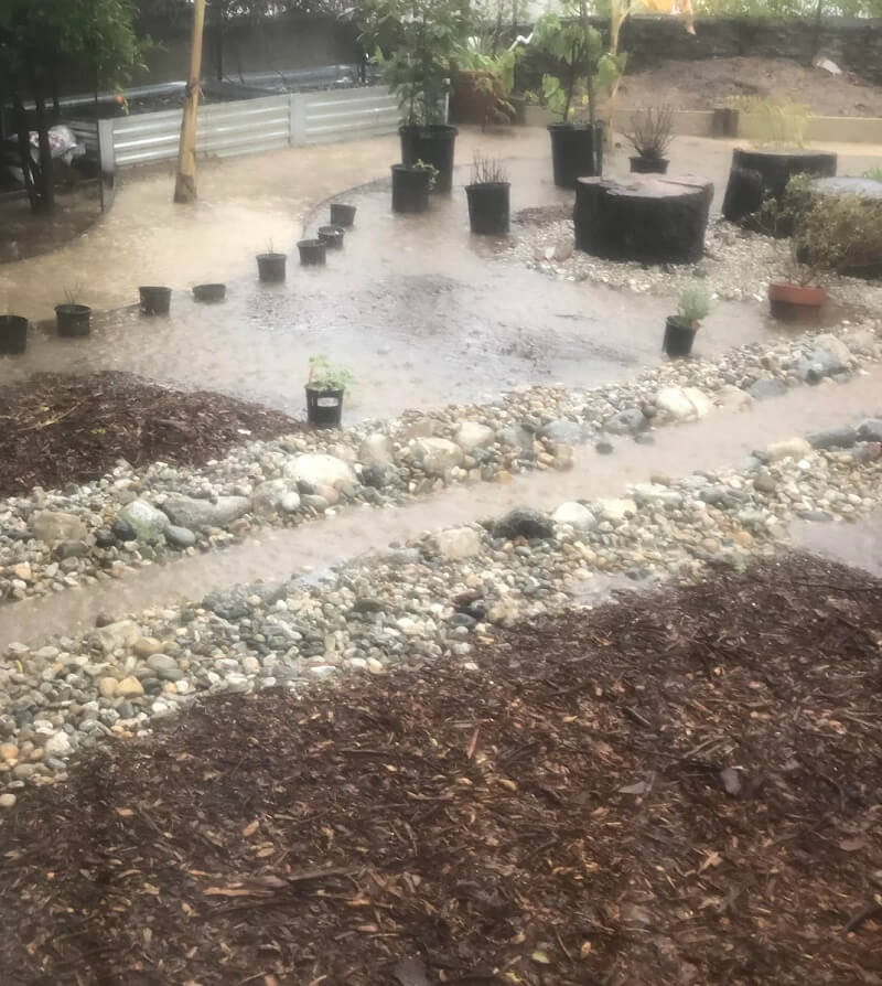 Gardener shares photos of incredible method used to manage intense rain ...