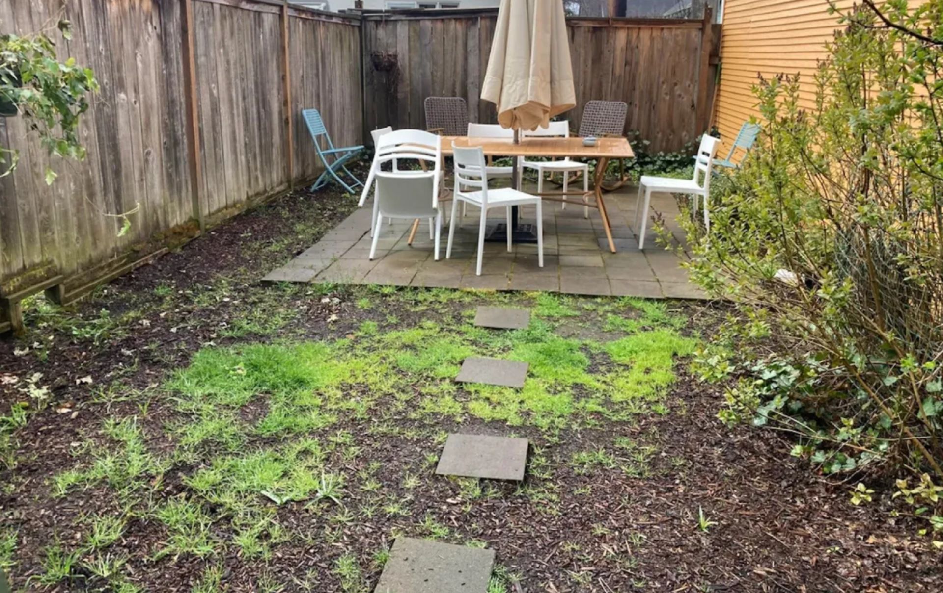 Homeowner shares stunning before-and-after photos of their new backyard ...