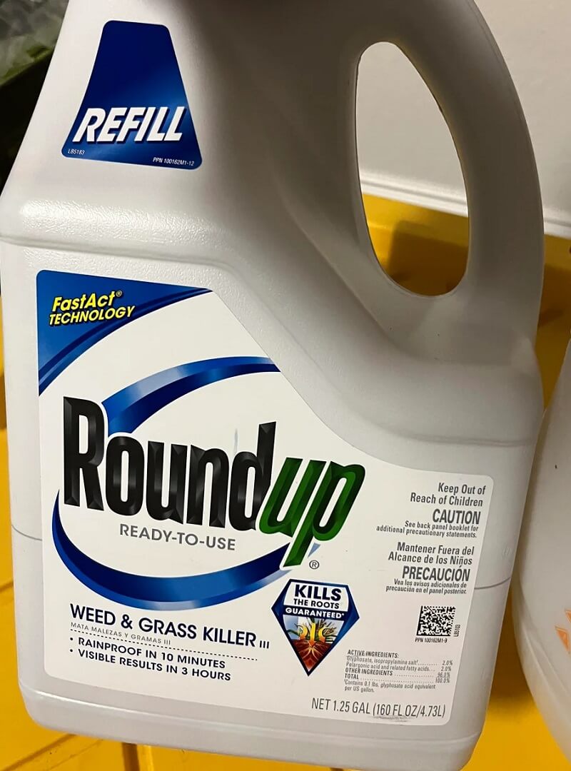 Gardener warned against making grave lawn maintenance mistake with ...