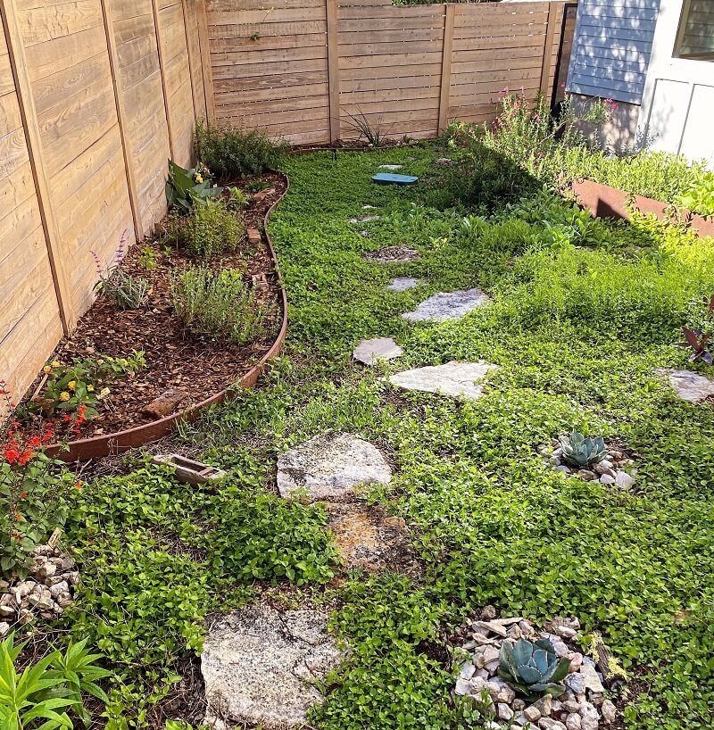 Gardener shares before-and-after photos of barren yard transformation ...