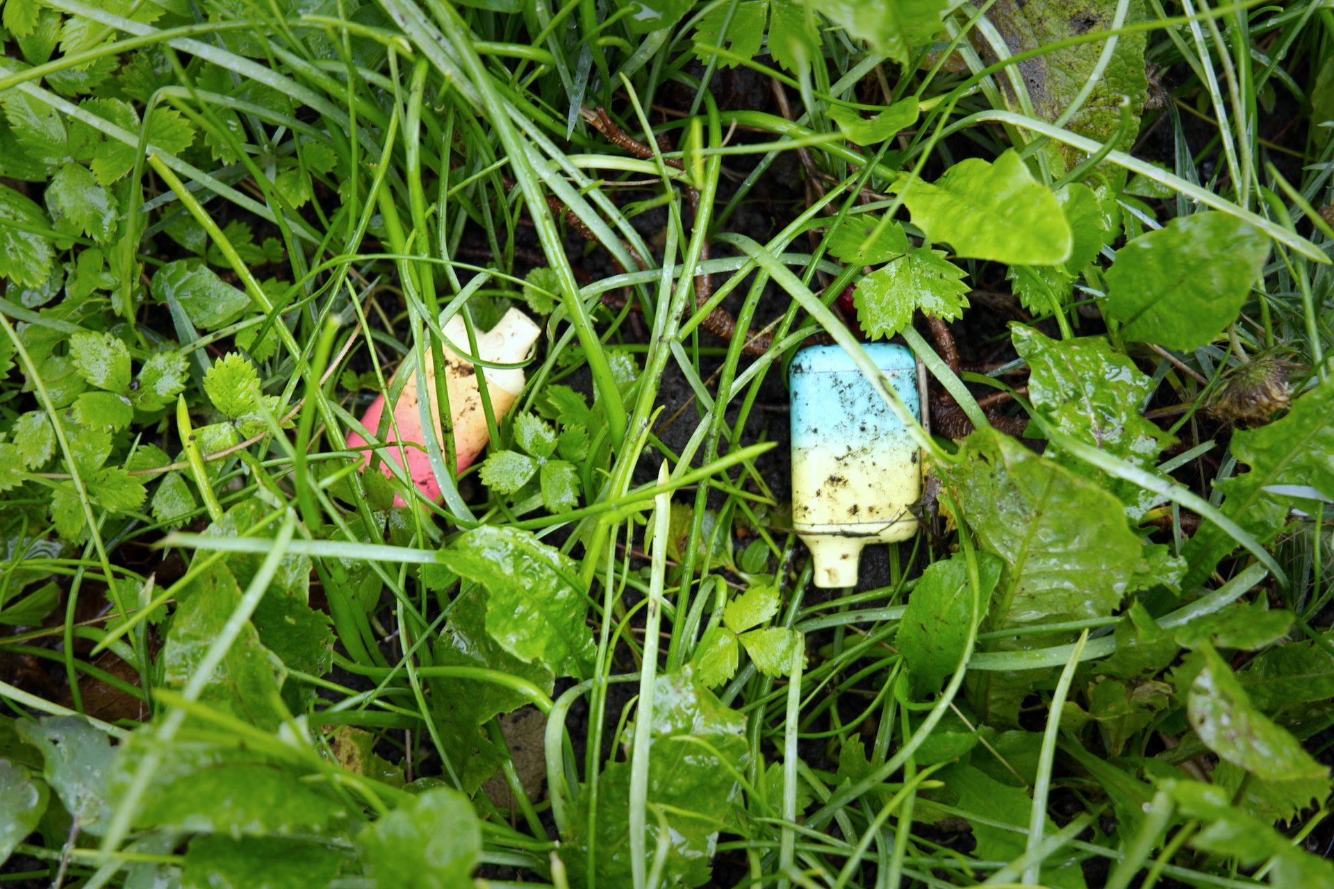 Parent raises concerns after finding disposable vape in backyard: 'It ...