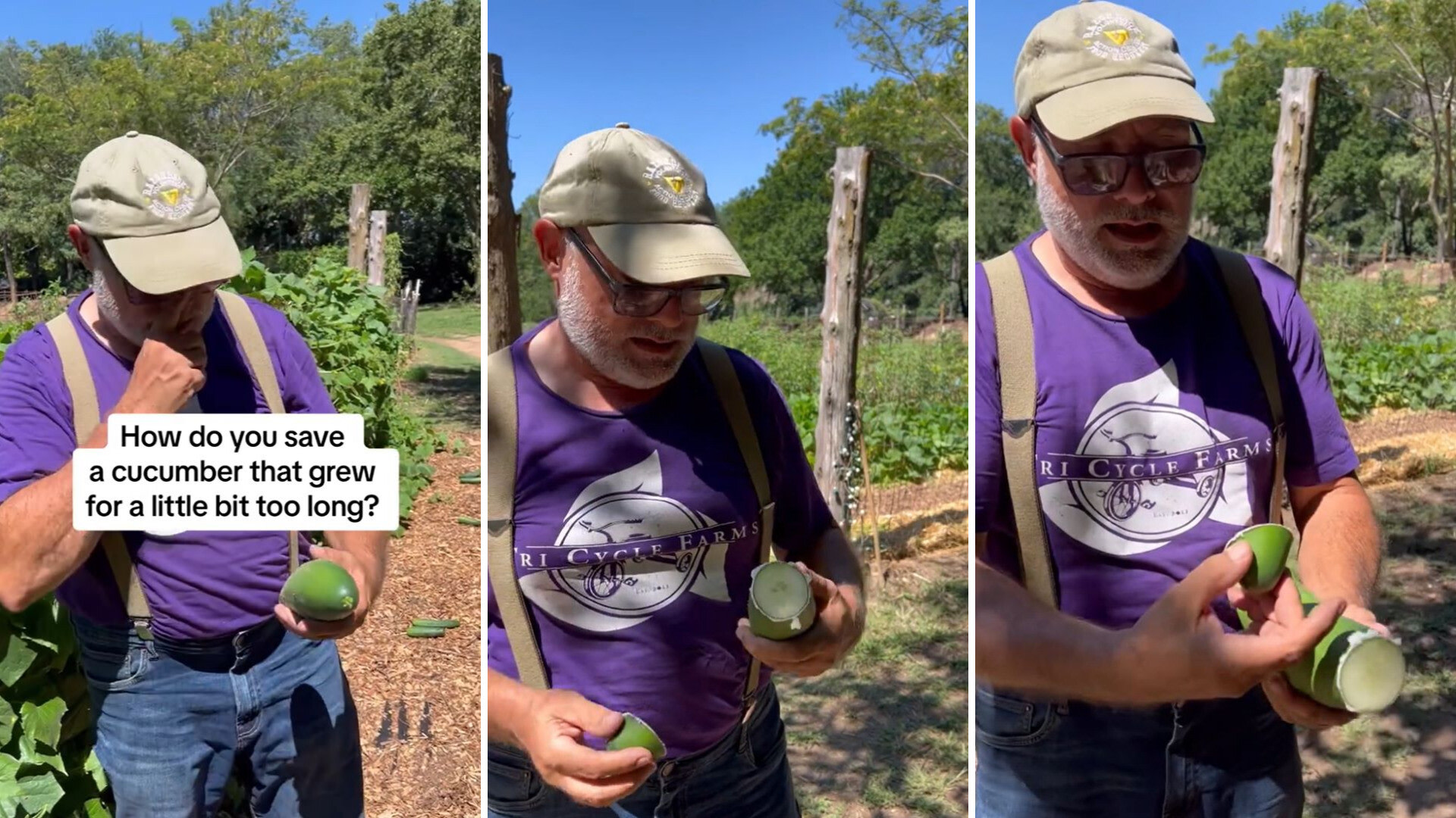 Farmer shares simple trick for saving overgrown cucumbers: 'I teach ...