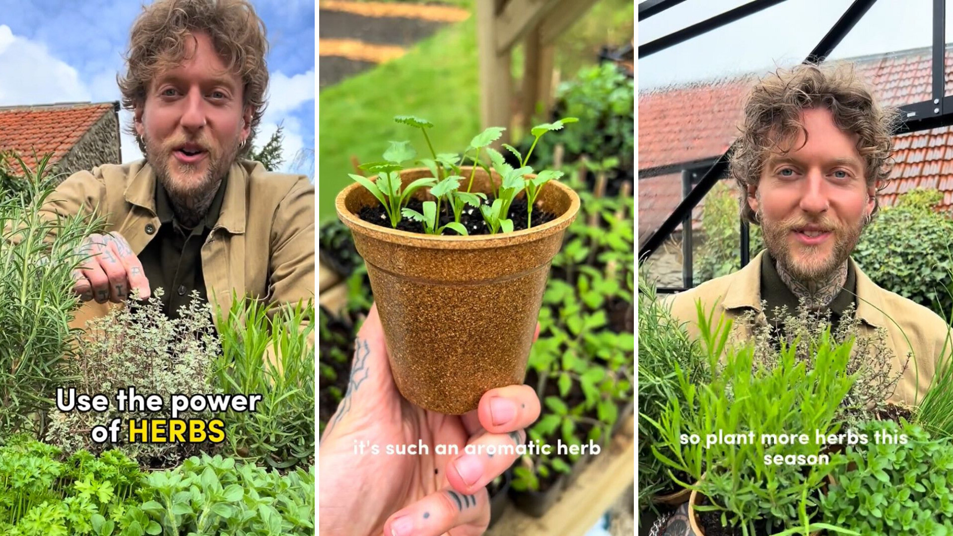 Expert gardener shares perfect plant pairings to keep pests away ...
