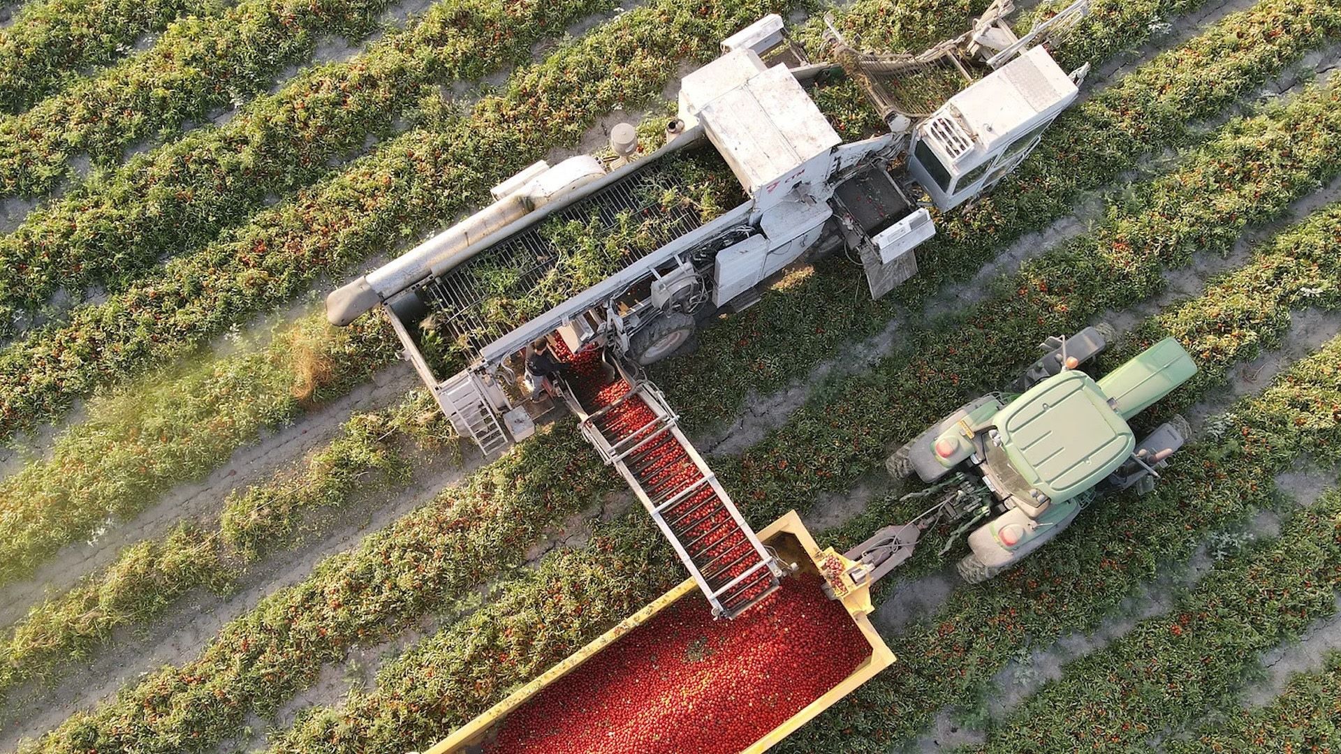 Startup addresses global agricultural challenges with cutting-edge seed ...