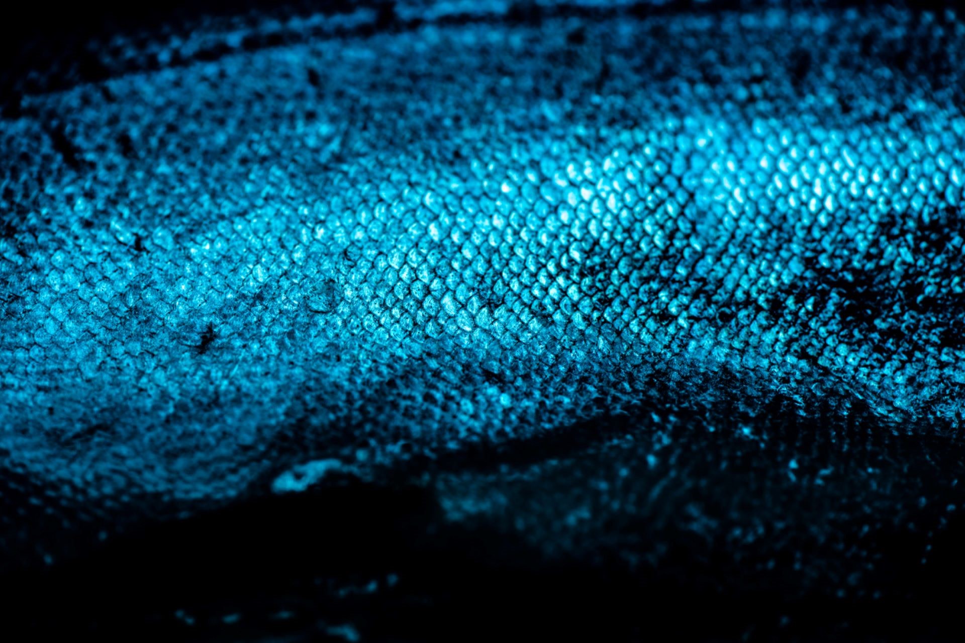 Researchers discover heating fish scales transforms them into ...