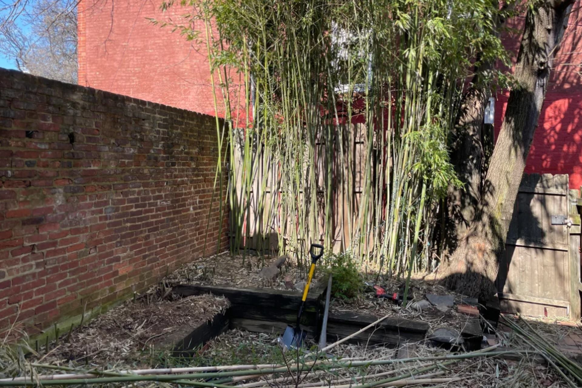 Homeowner shares before-and-after photos after transforming backyard ...