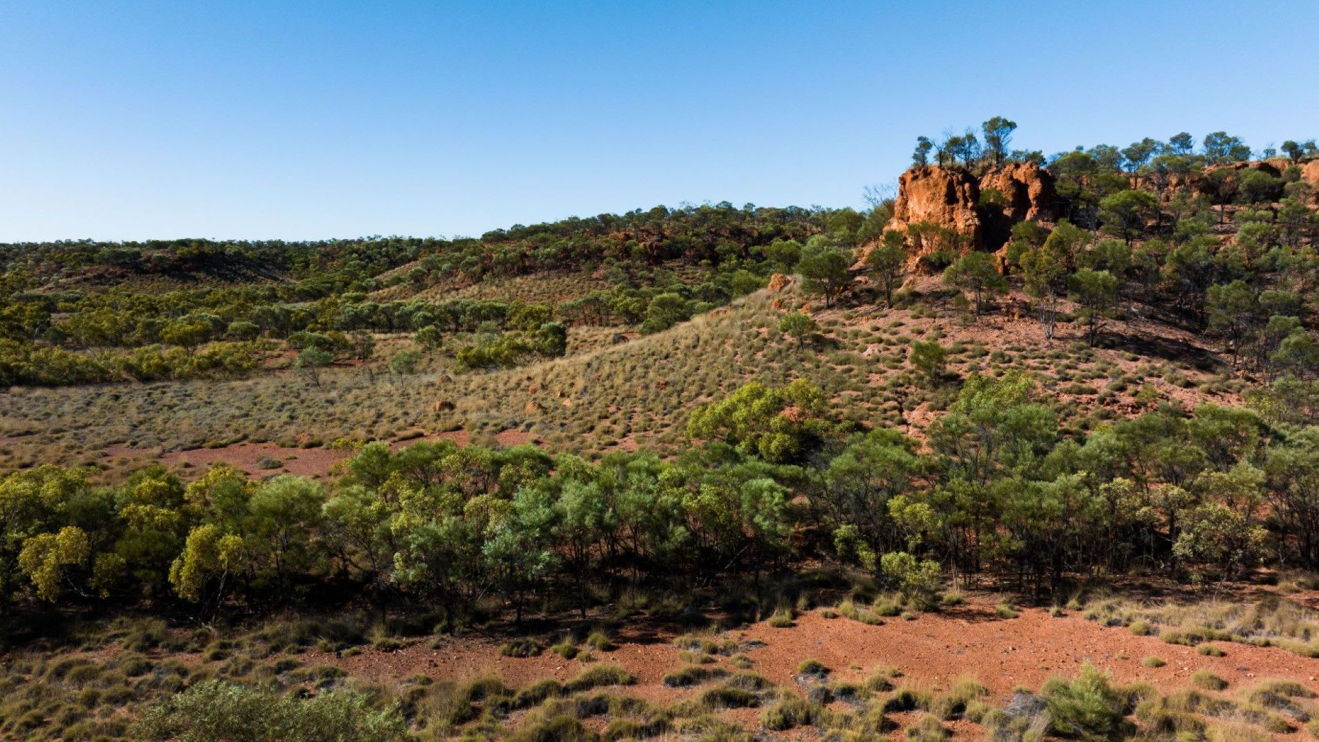 Outback cattle station the size of Yosemite transformed after massive ...