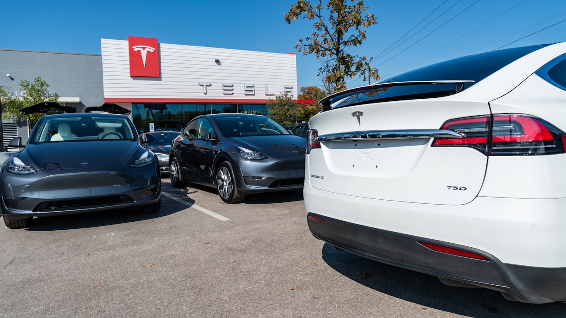 New survey reveals reasons behind Tesla's near-perfect customer ...