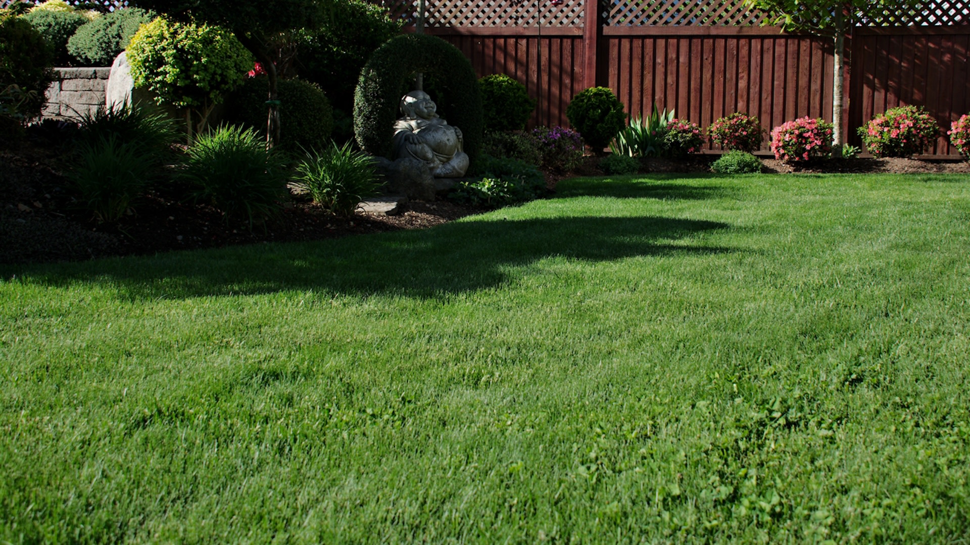 Homeowner shares progress photo after ripping out grass lawn for low ...