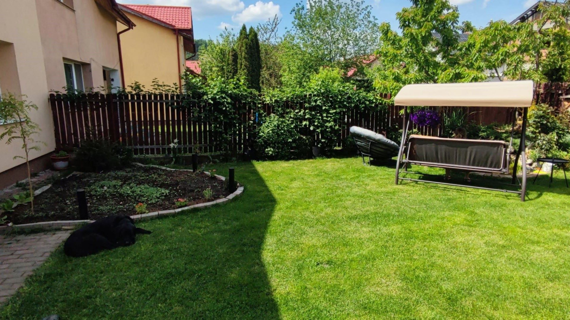 Homeowner shares before-and-after photos after transforming backyard ...