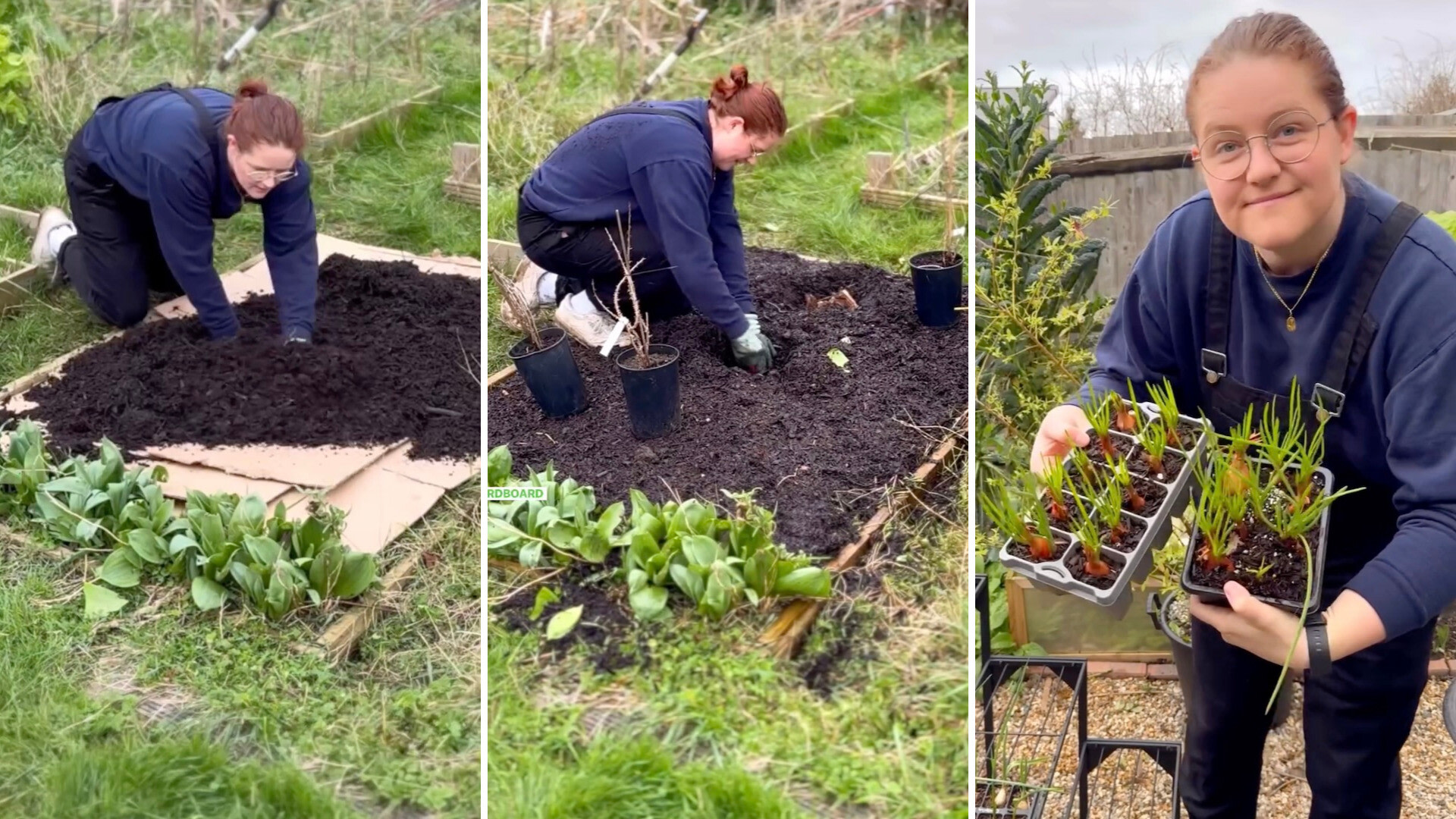 Expert gardener shares 'easiest' method to keep weeds out of your ...