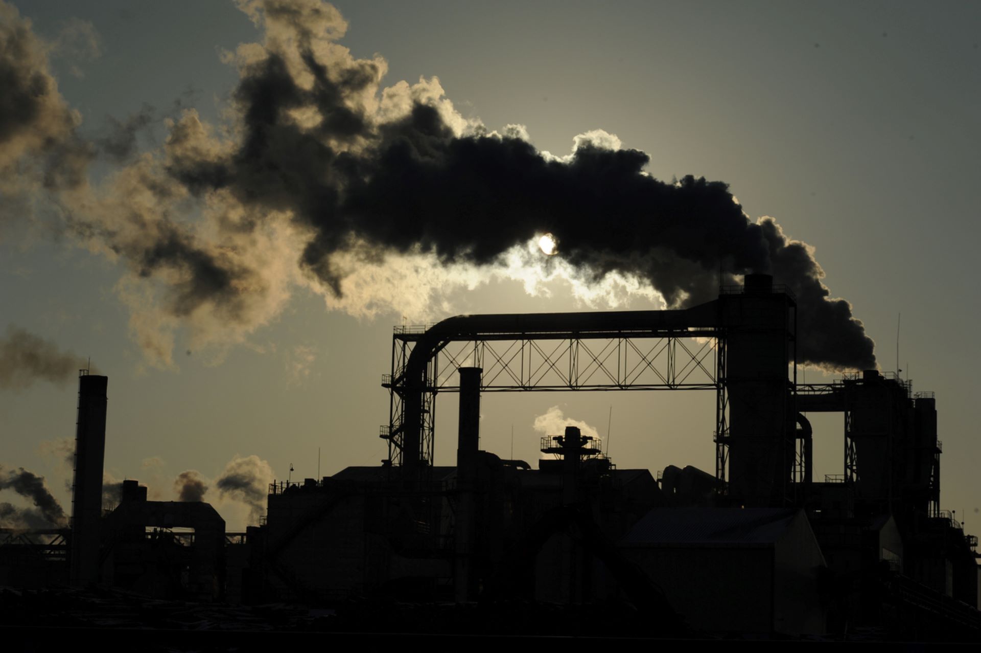 Top scientists issue warning after dangerous gases hit record-highs ...