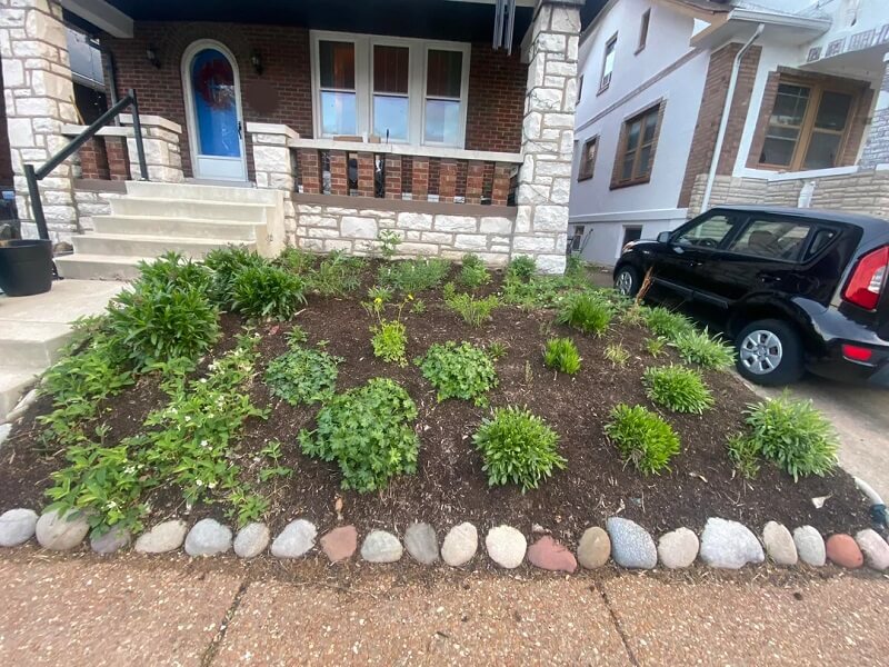 Ecologist shares before-and-after photos after transforming their lawn ...