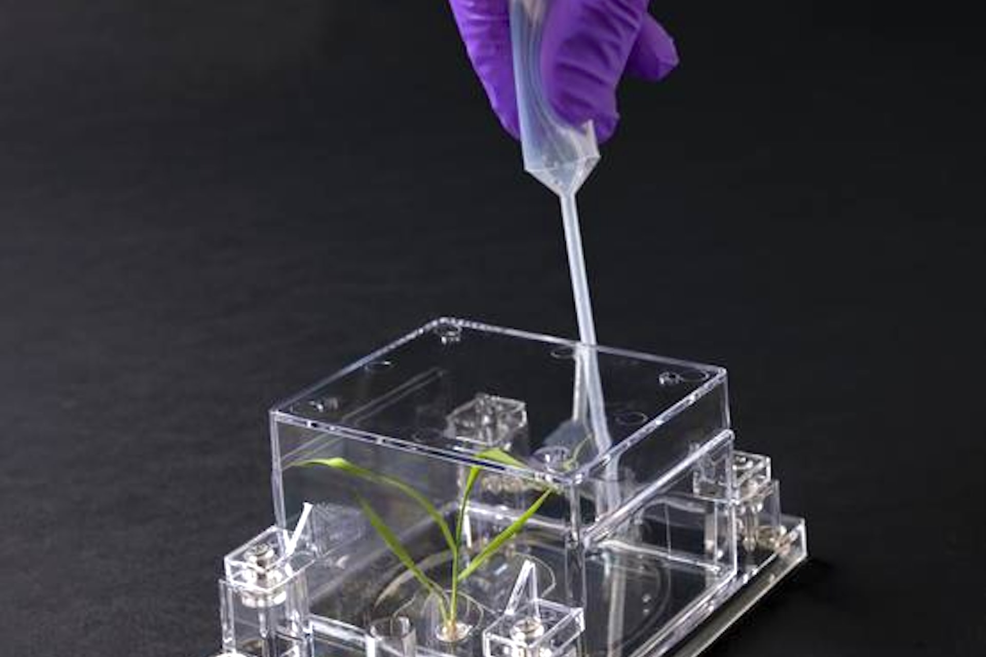 Scientists announce breakthrough AI technology that could transform how ...