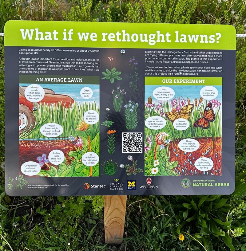 Impressed resident shares photos of public space in their city: 'The ...