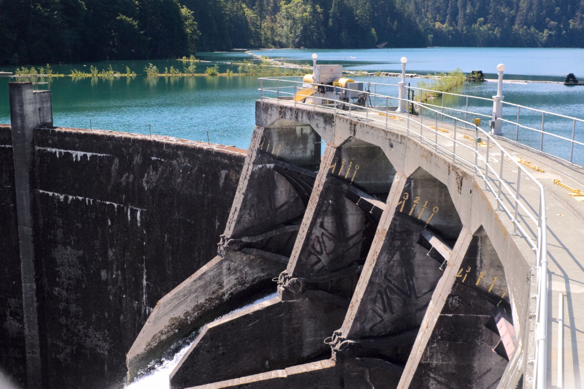 Scientists uncover lasting impact of monumental dam removal project ...