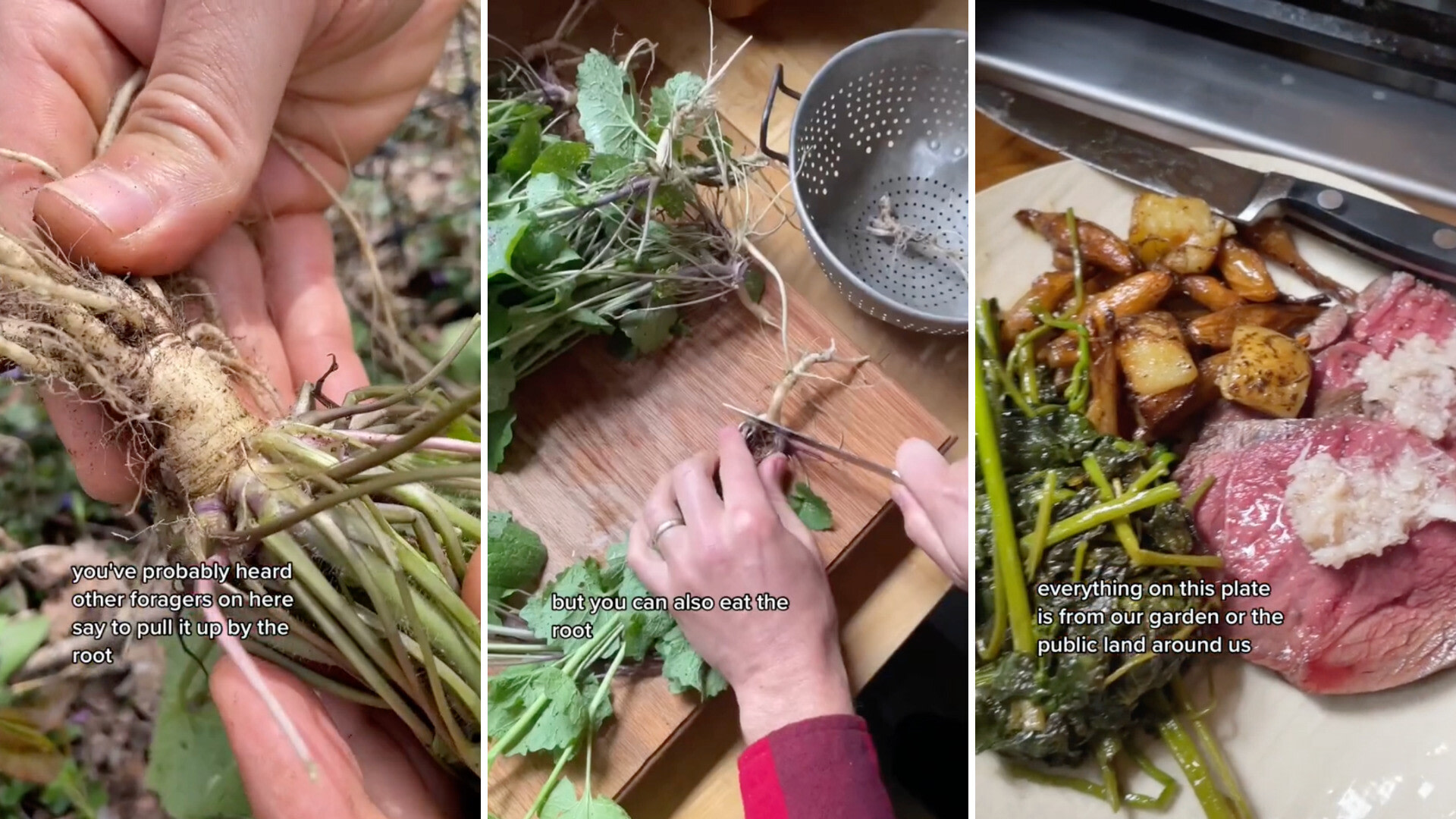 Homesteaders turn extremely invasive plants into delicious dinner ...