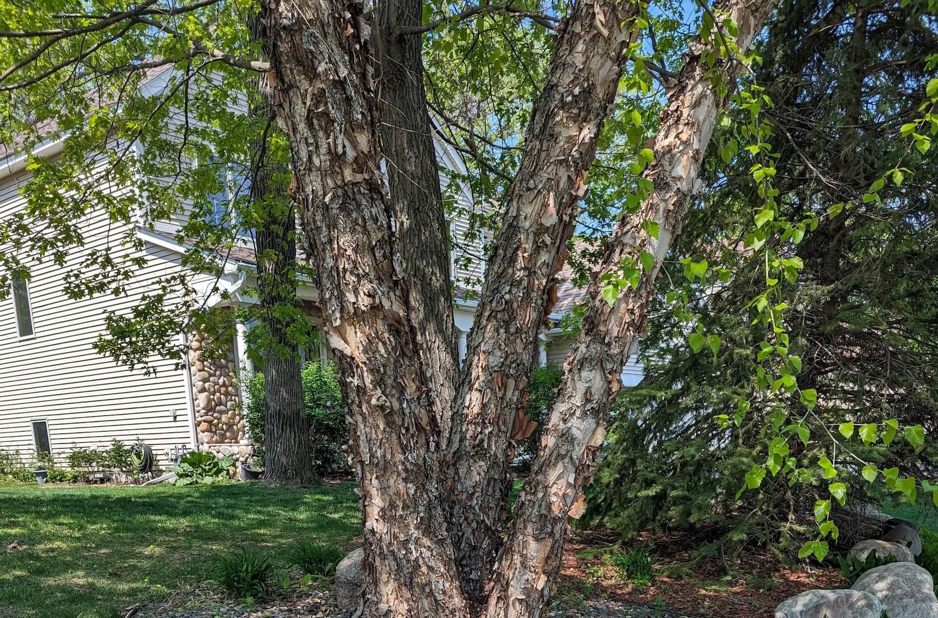 Homeowner seeks help after discovering landscaping issue left behind by ...