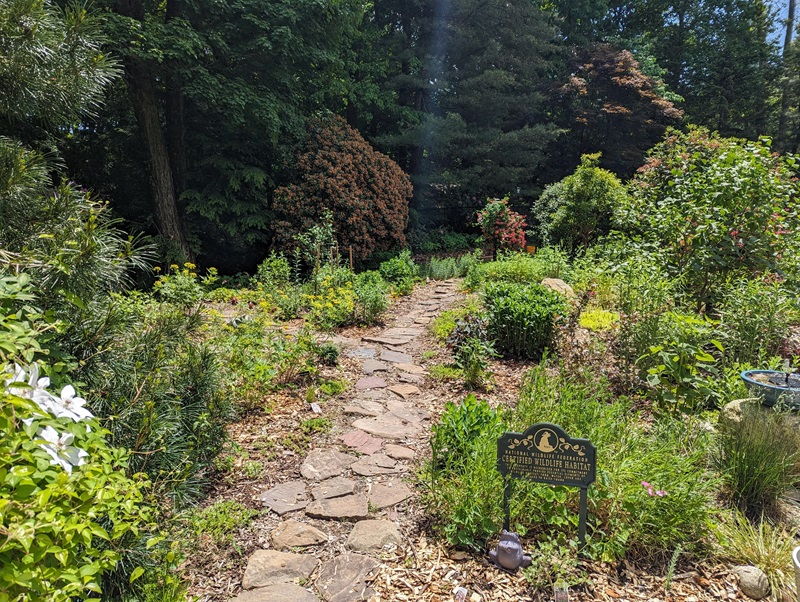 Gardener shares stunning results after transforming lawn into luscious ...