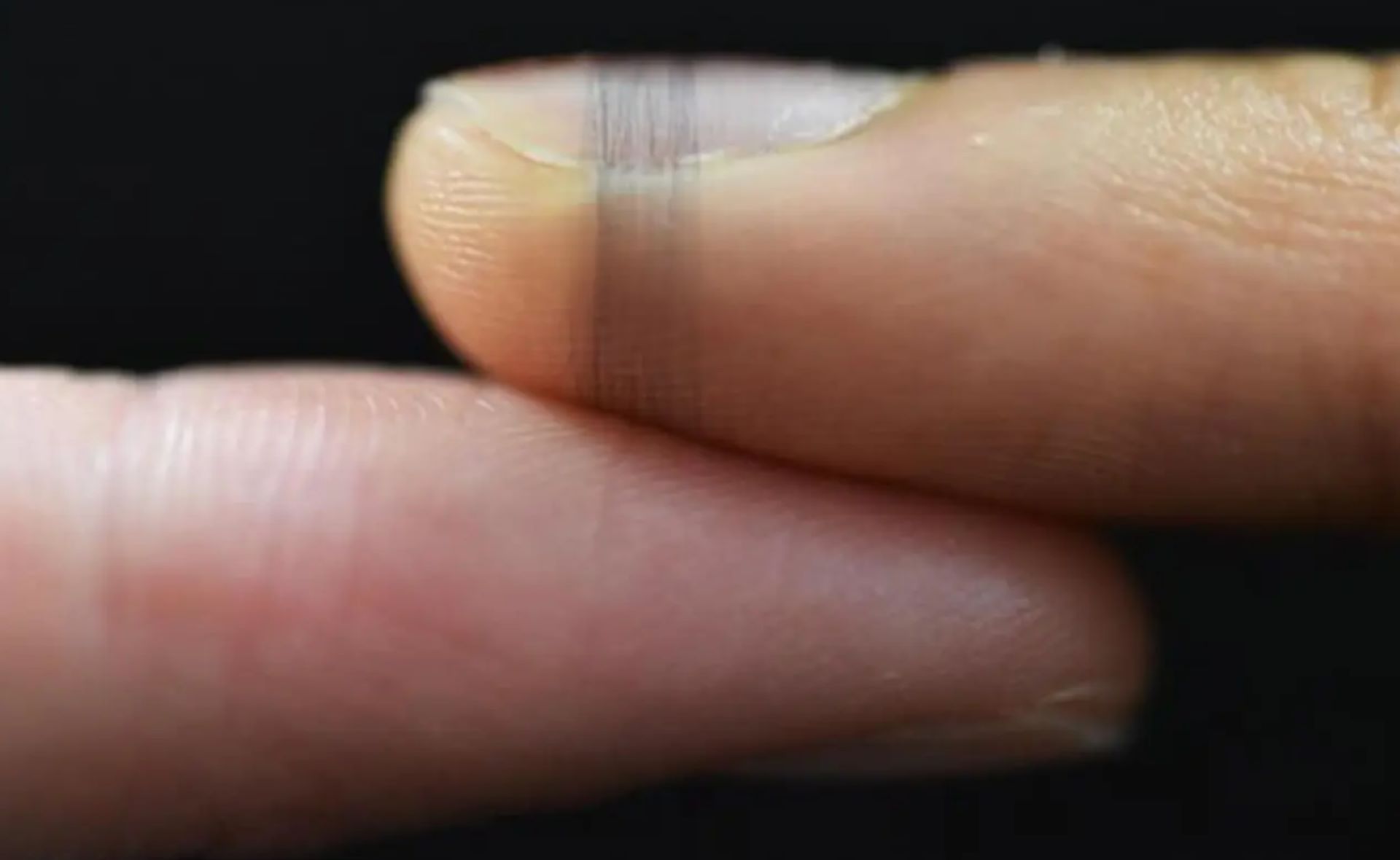 Researchers develop 'spider silk' bioelectronic sensors for diverse ...