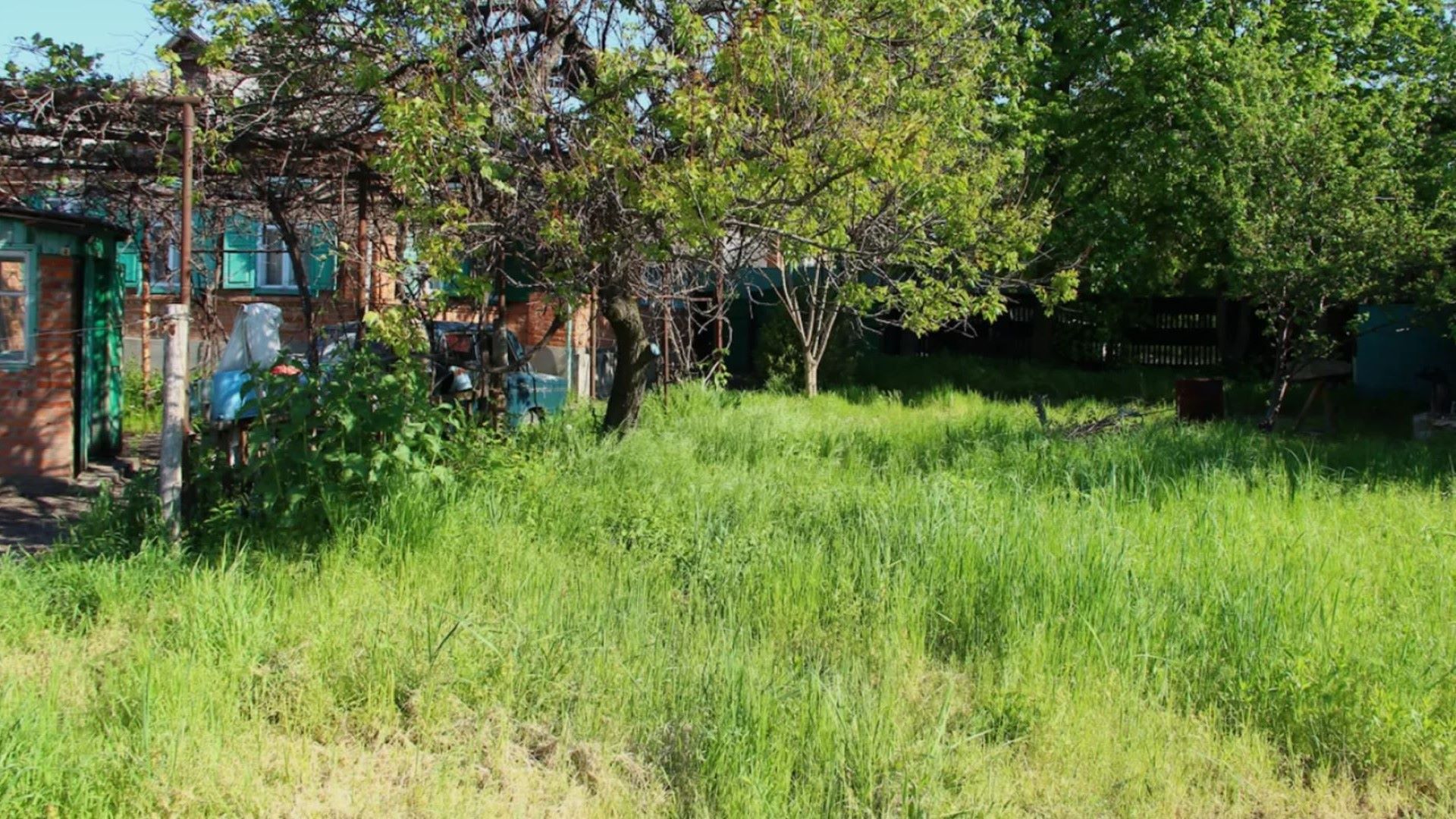 New homeowner frustrated after highly invasive plant sprouts up in ...